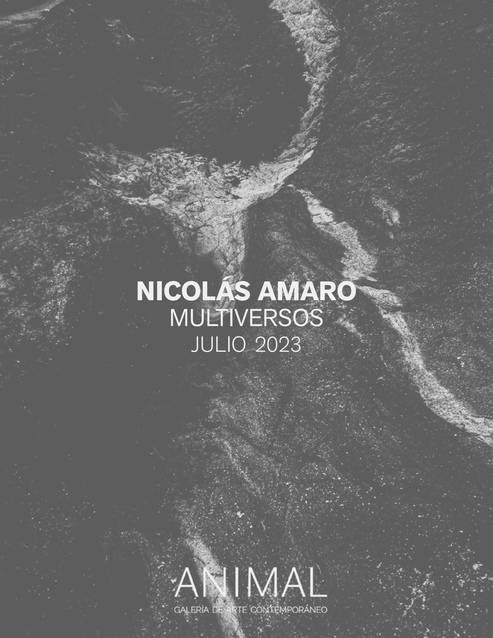 Nicolas Amaro | Multiversos | JULIO 2023 by galeriaanimal - Issuu