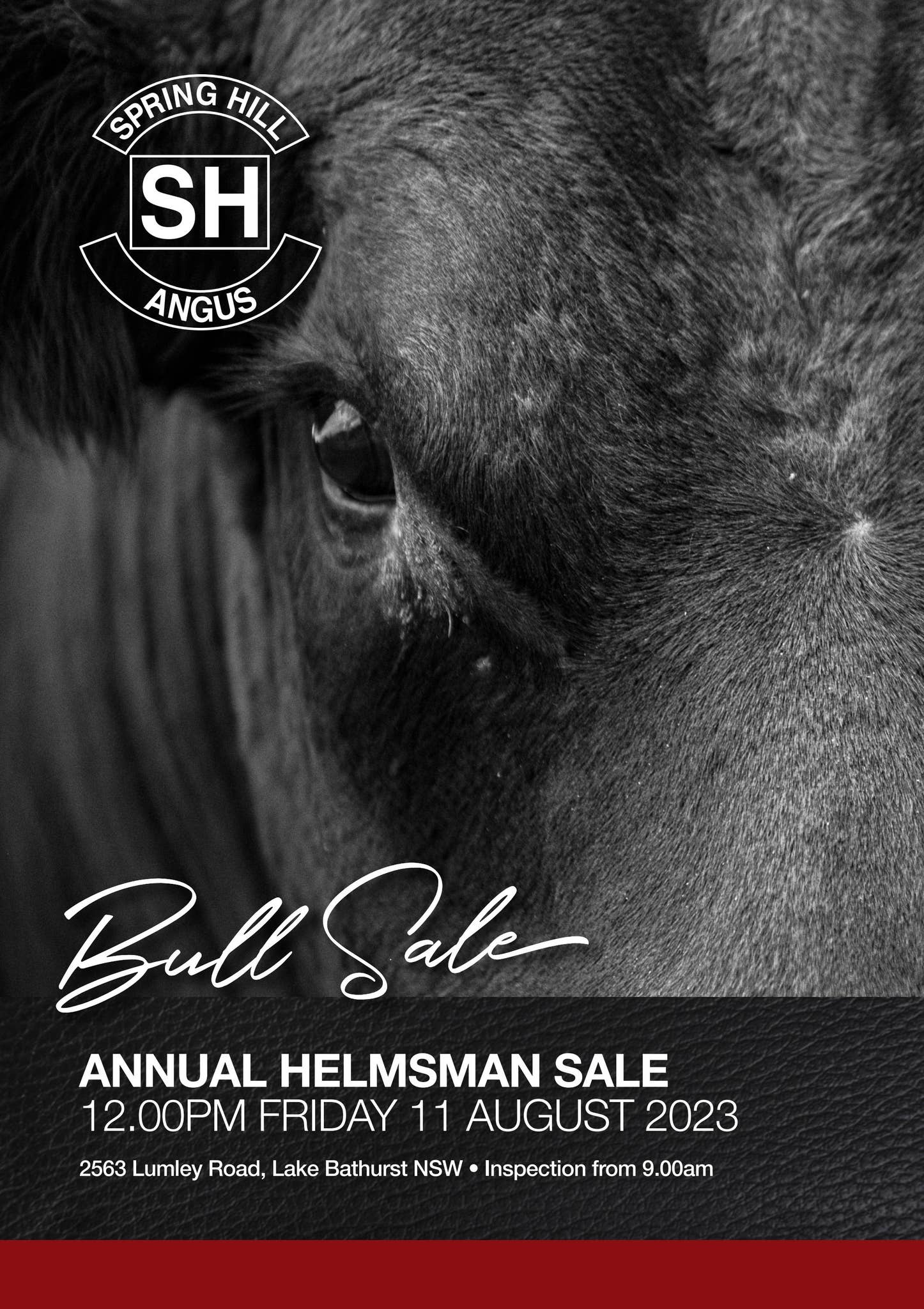 Spring Hill Angus 2023 Sale Catalogue by MeganScrivenerDesign - Issuu
