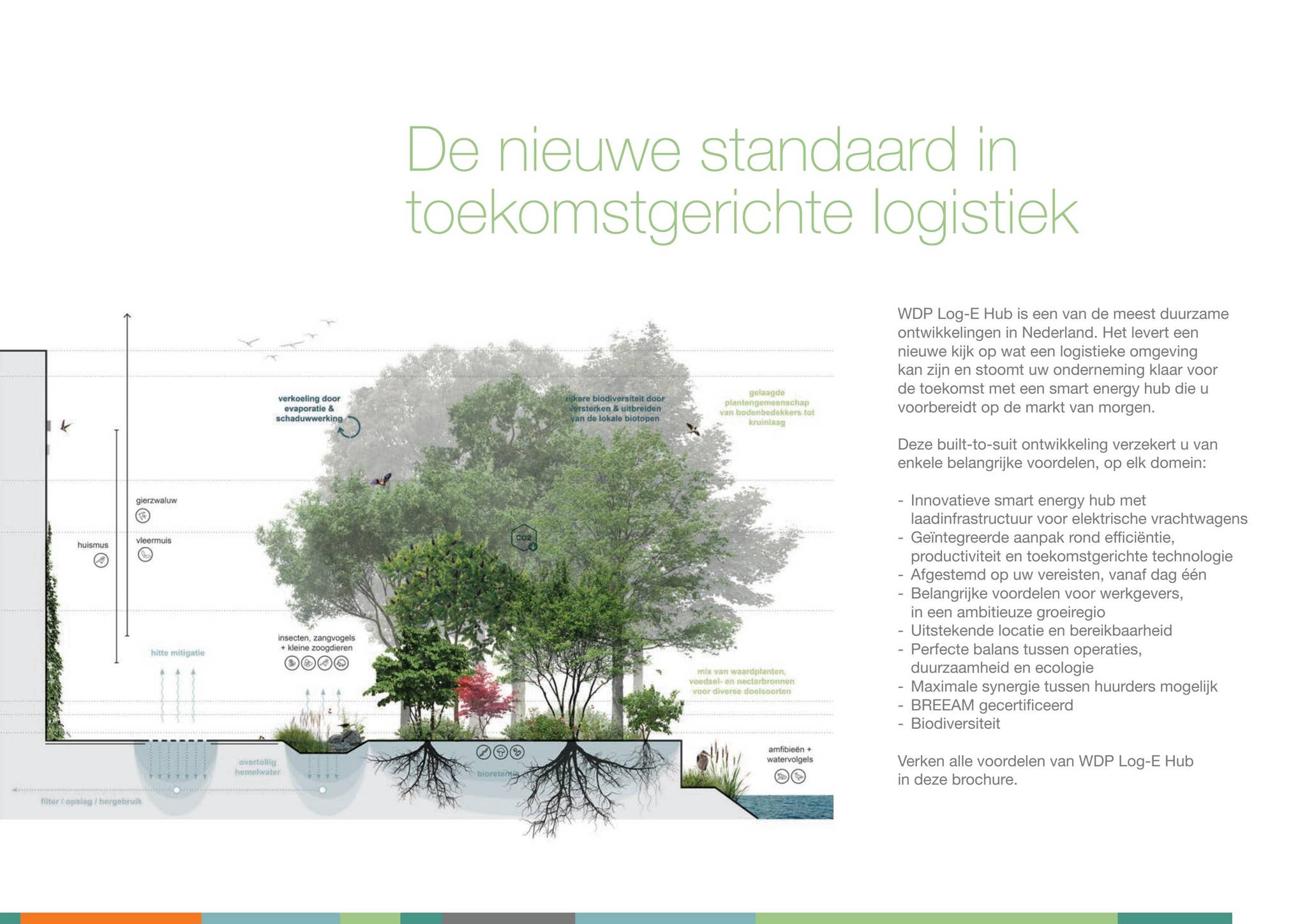 Ontdek WDP Log-E Hub -Zwolle by WDP - Warehouses with Brains - Issuu