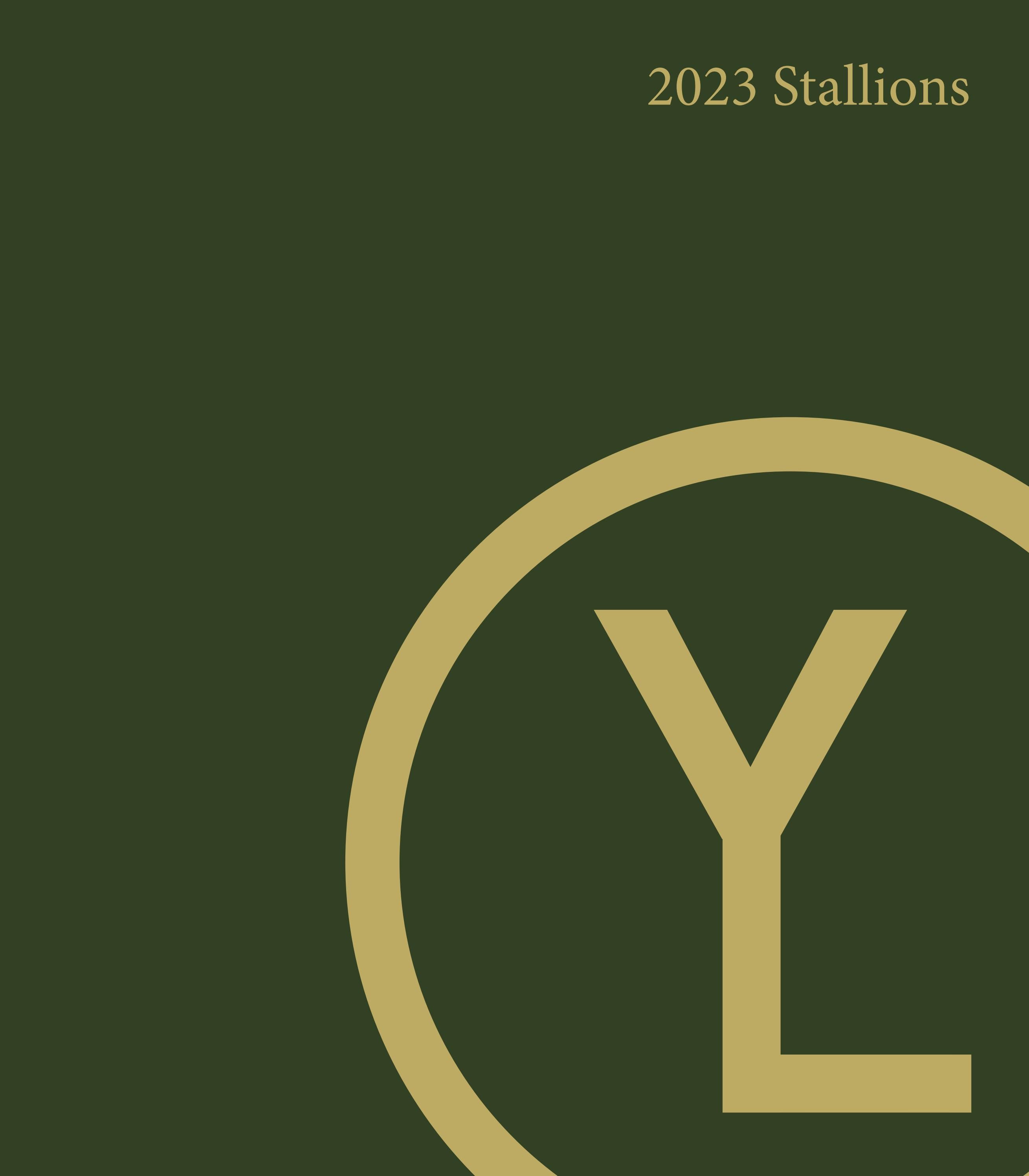 2023 Yulong Stallion Brochure by kickcollective - Issuu