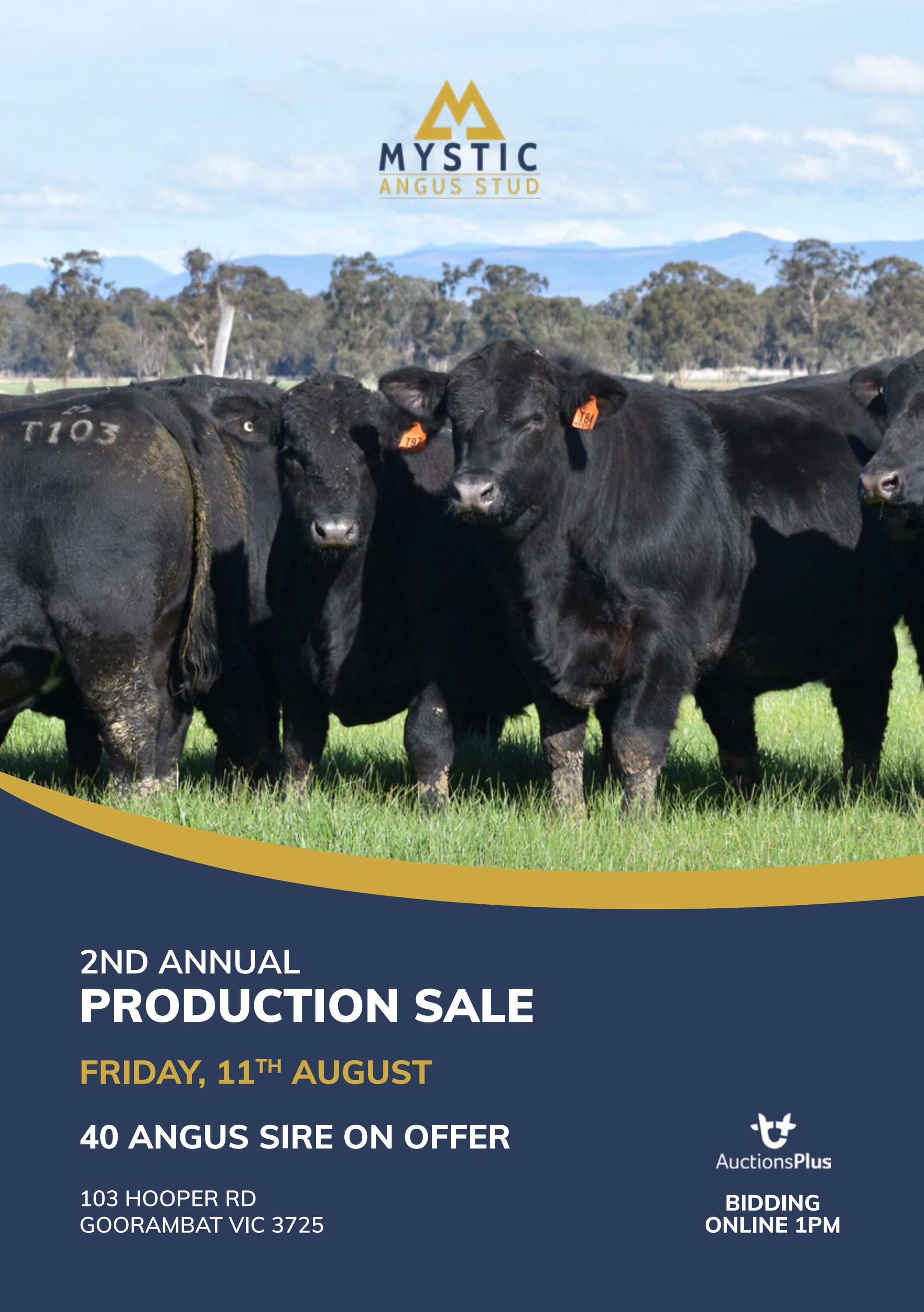 Mystic Angus Bull Sale 2023 by Angus Australia - Issuu