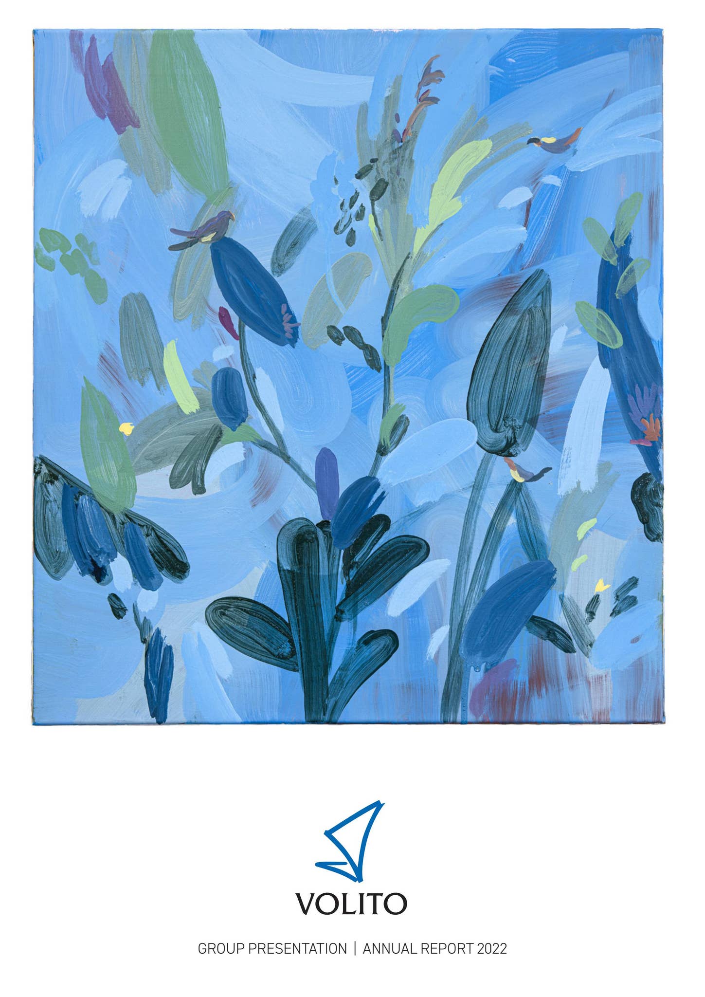 Volito annual report 2022 by volitogroup - Issuu