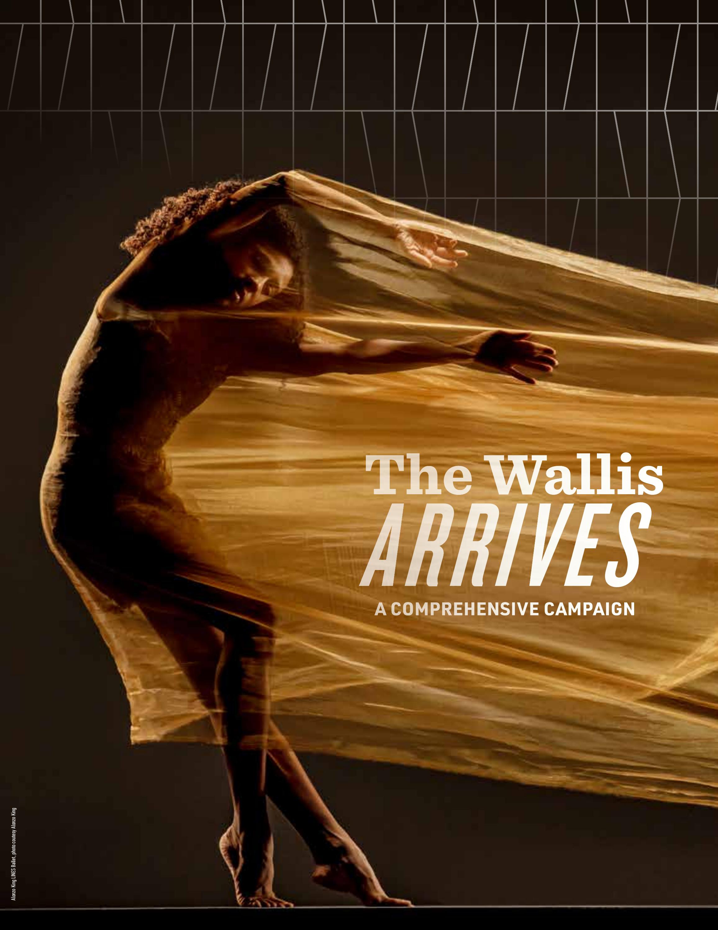 The Wallis Arrives: A Case for Support by TheWallis2021 - Issuu