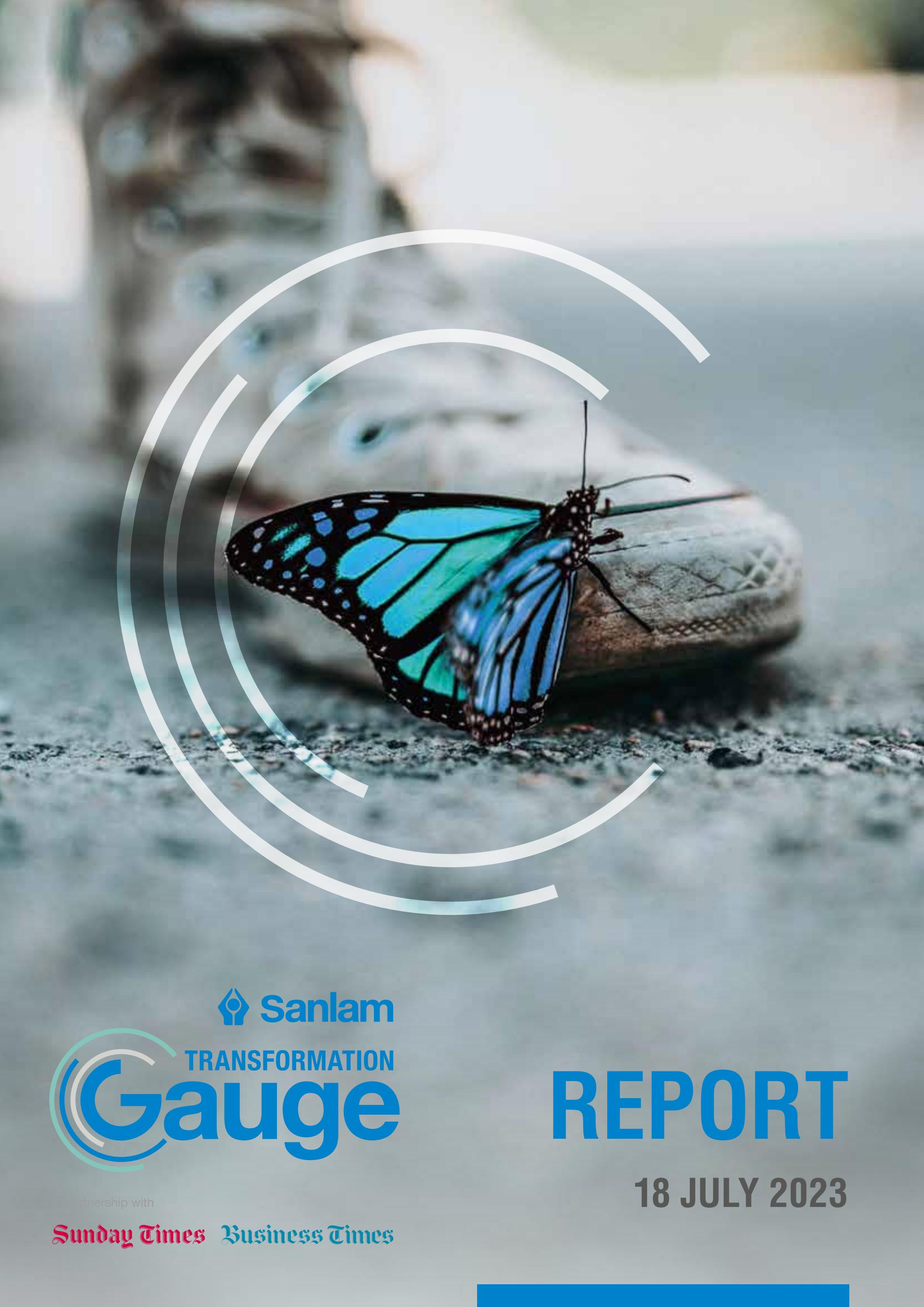 Sanlam Transformation Gauge 2023 (July 18 2023) by SundayTimesZA - Issuu
