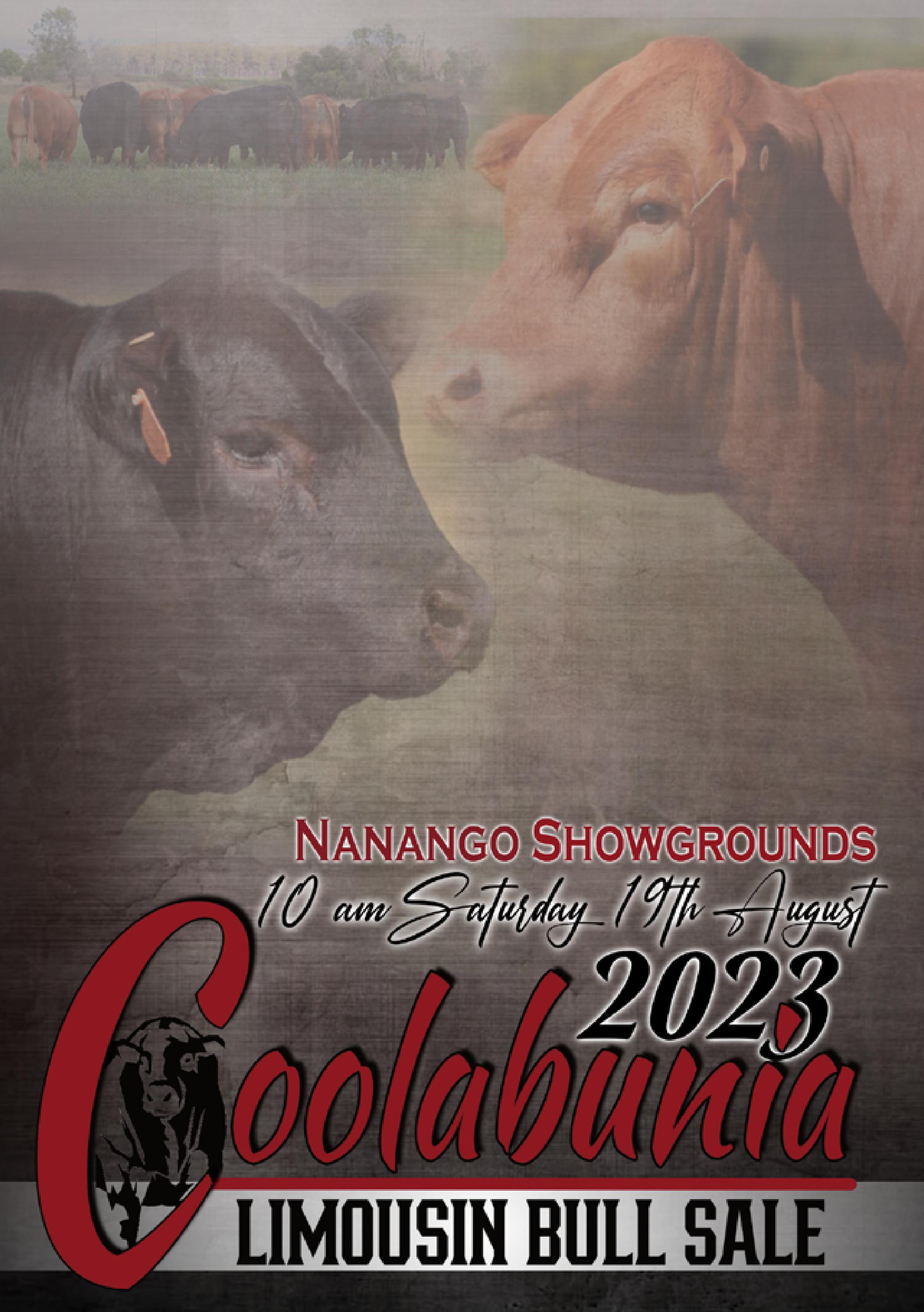 Coolabunia Limousin Bull Sale 2023 by Five Star Creative Promotions - Issuu