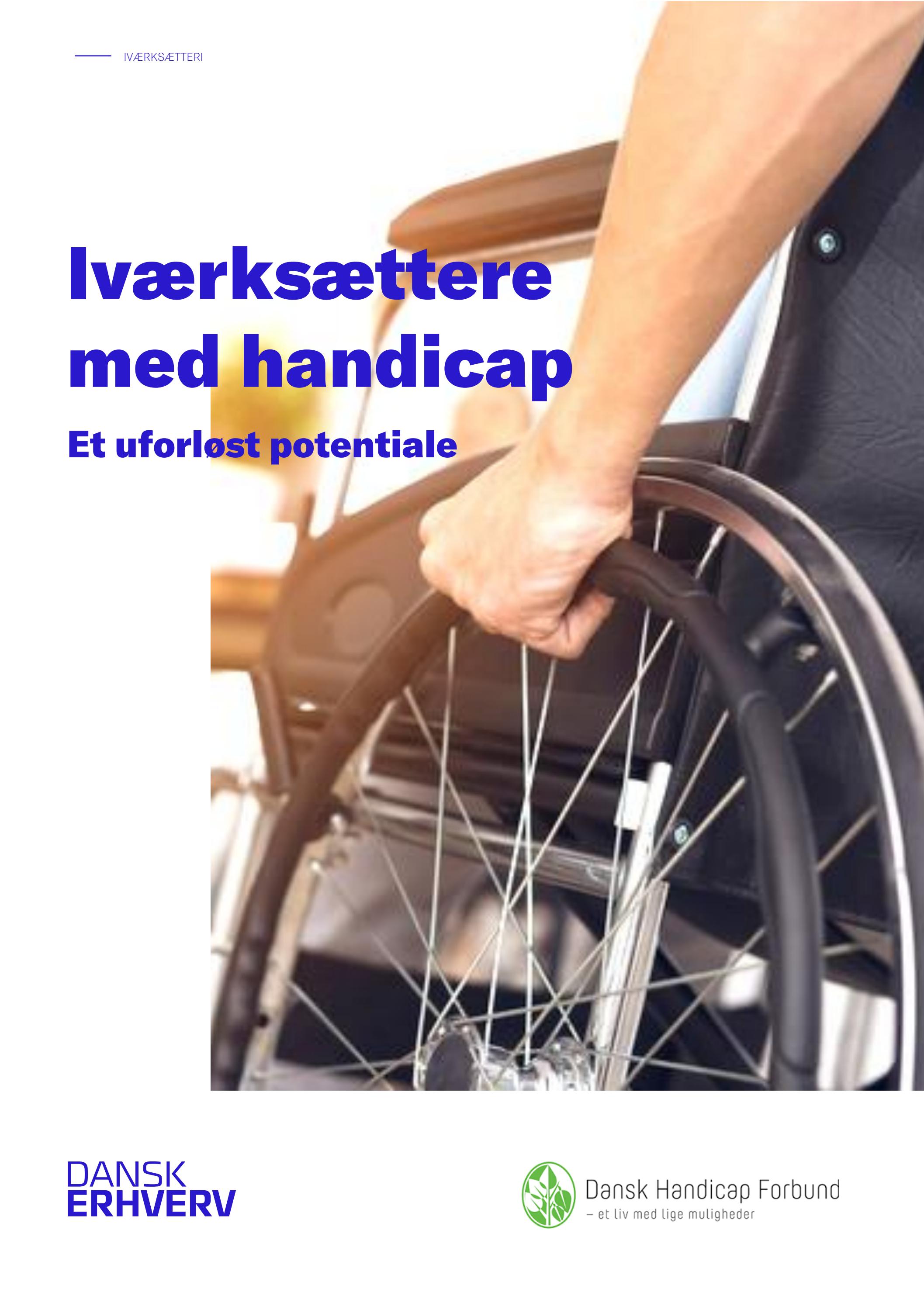 Iværksættere med handicap - Et uforløst potentiale. by Dansk Handicap ...