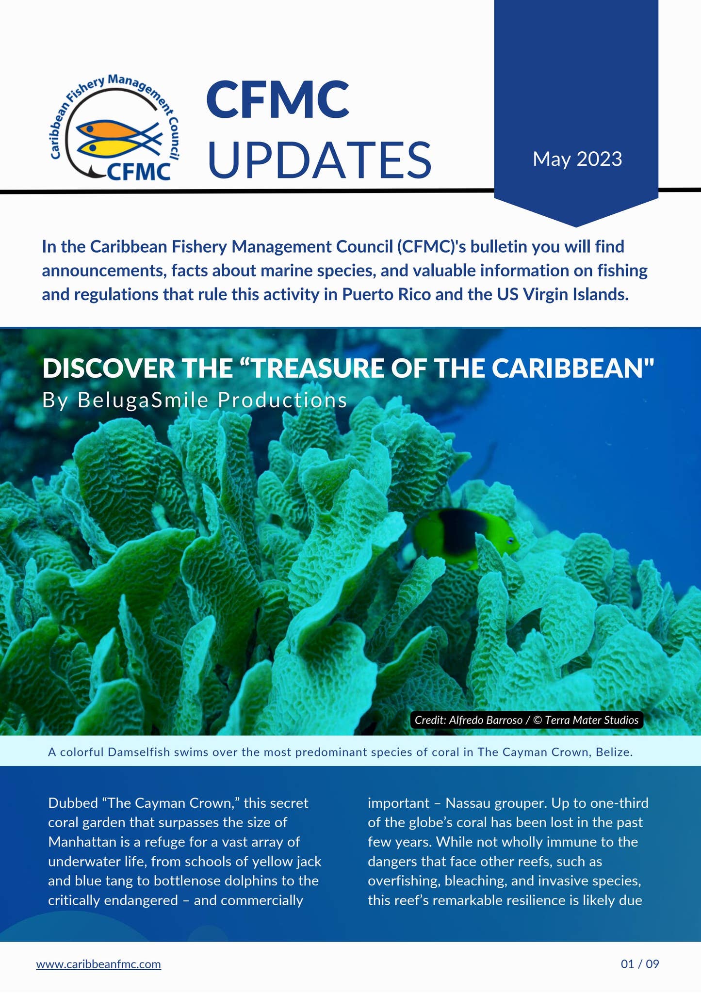 CFMC Updates (May 2023) by Caribbean Fishery Management Council - Issuu