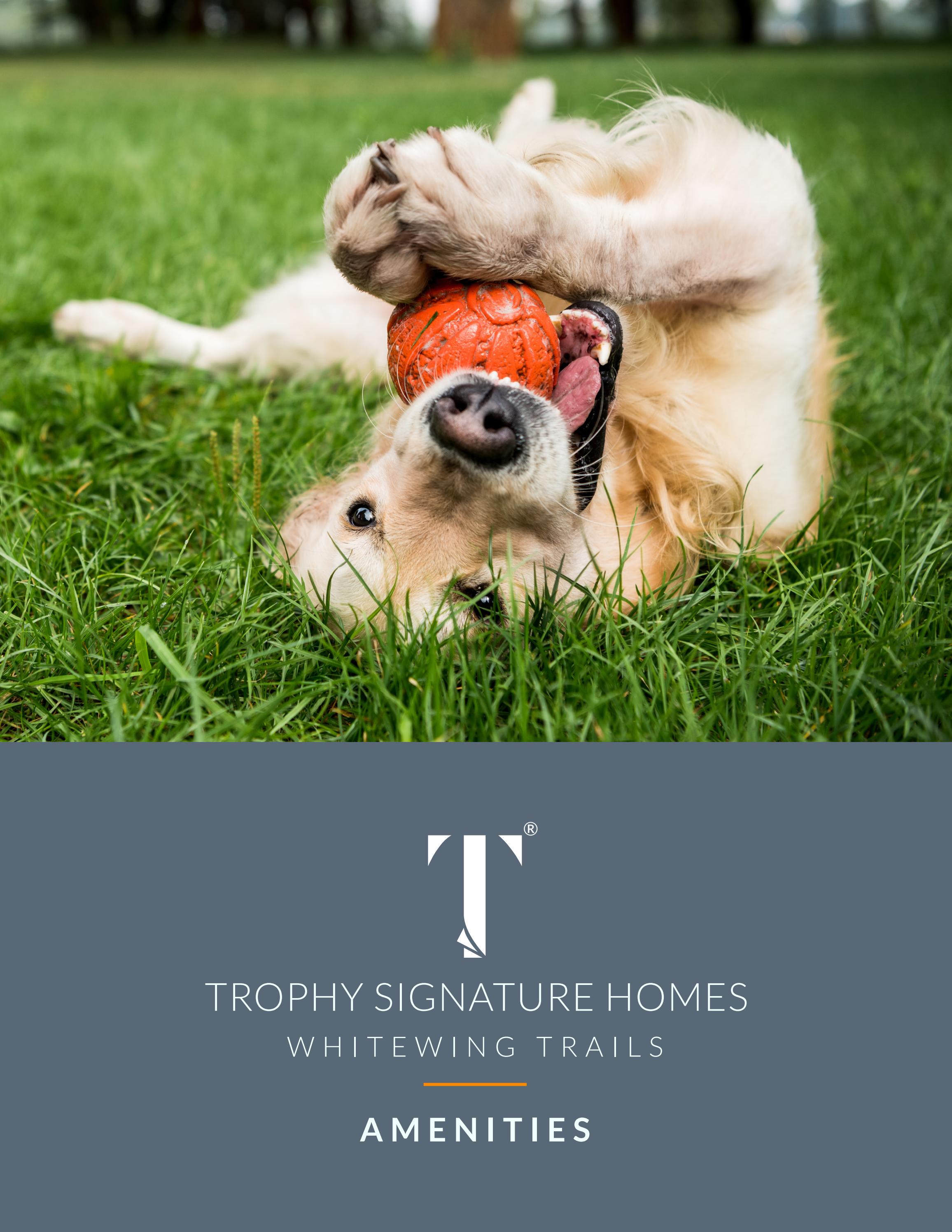 Whitewing Trails by marketing-builderdesigns - Issuu