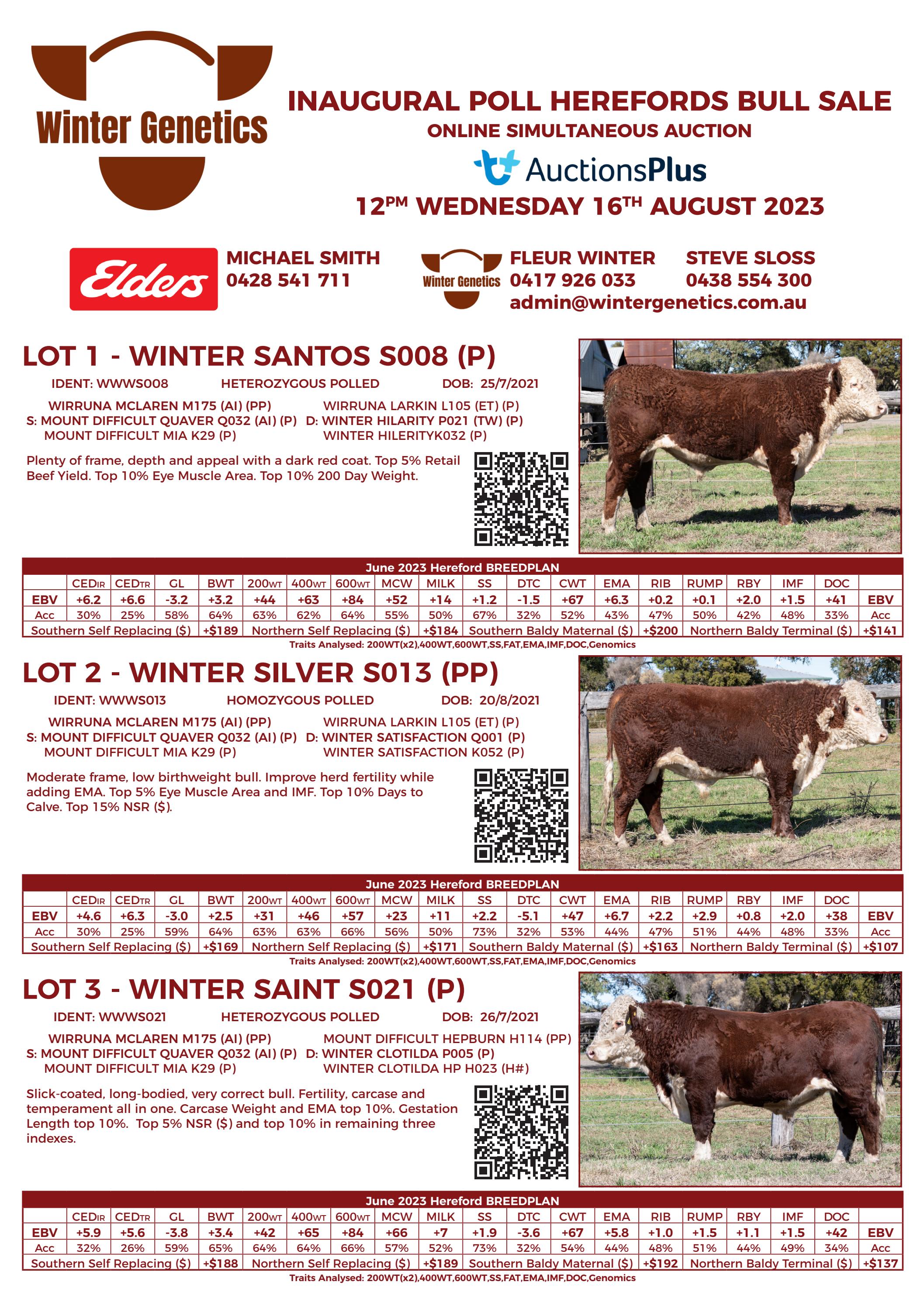 Winter Genetics Inaugural Poll Herefords Bull Sale Flyer by Practical ...