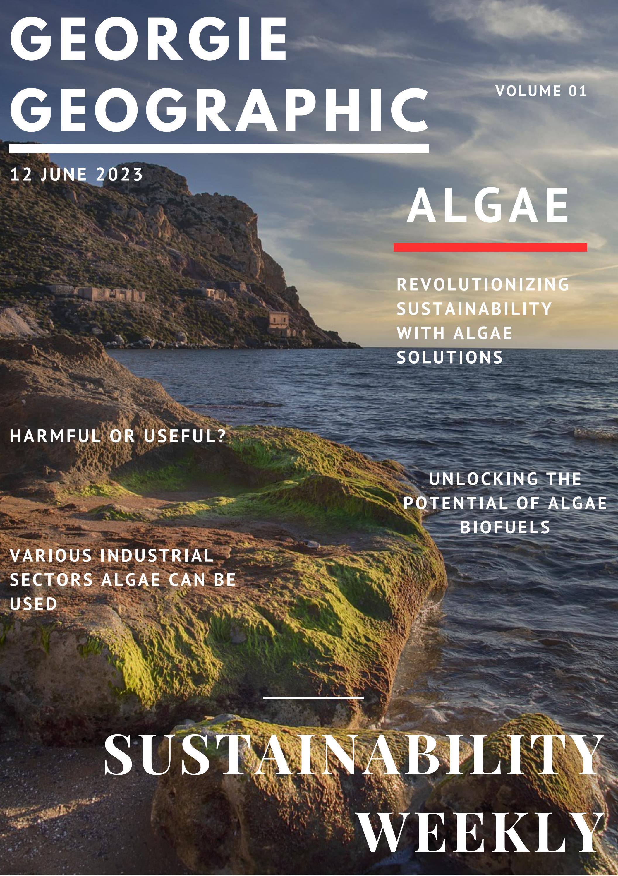 Algae Magazine by George Okonkwo - Issuu
