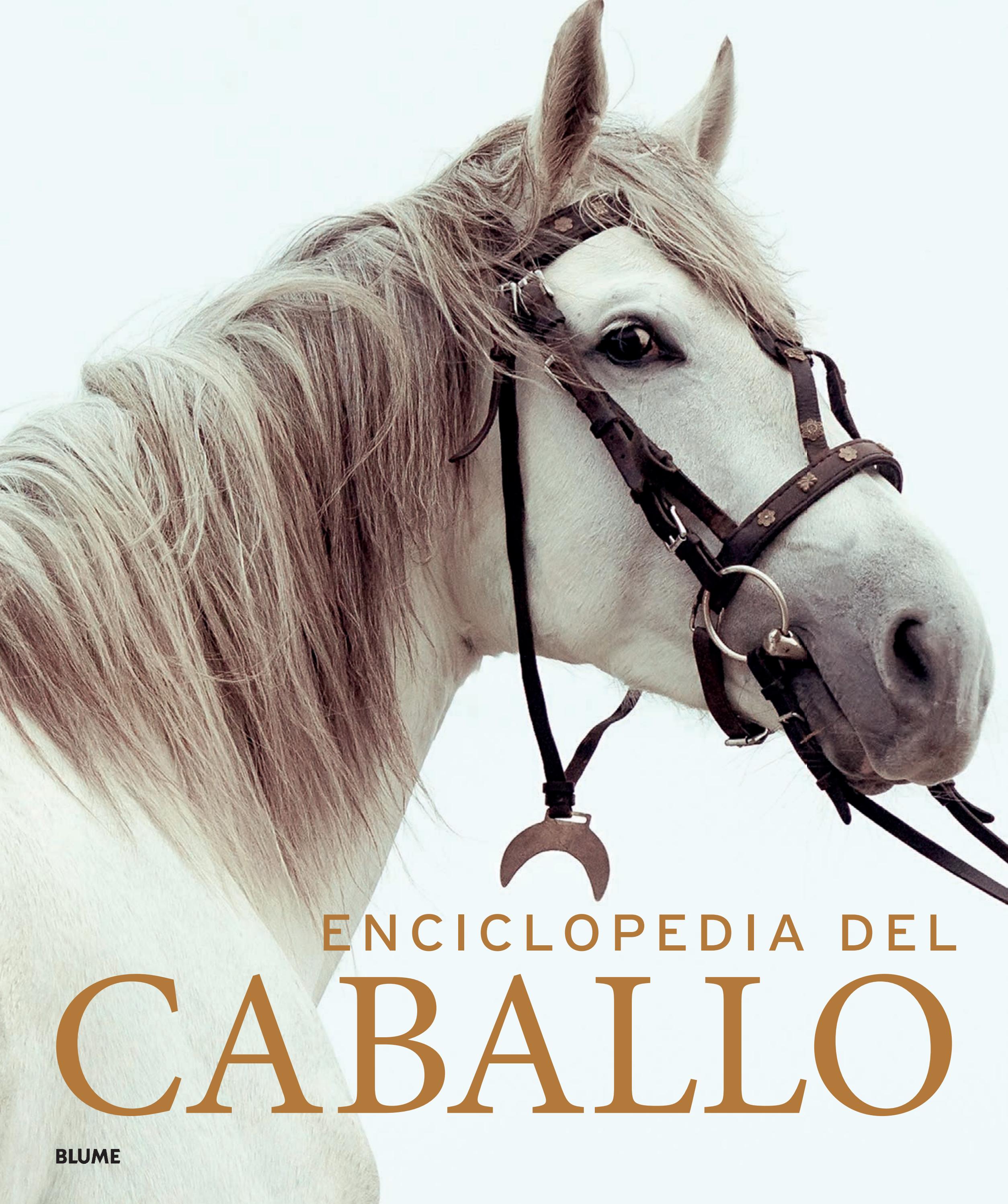 Enciclopedia del caballo by Editorial Blume - Issuu