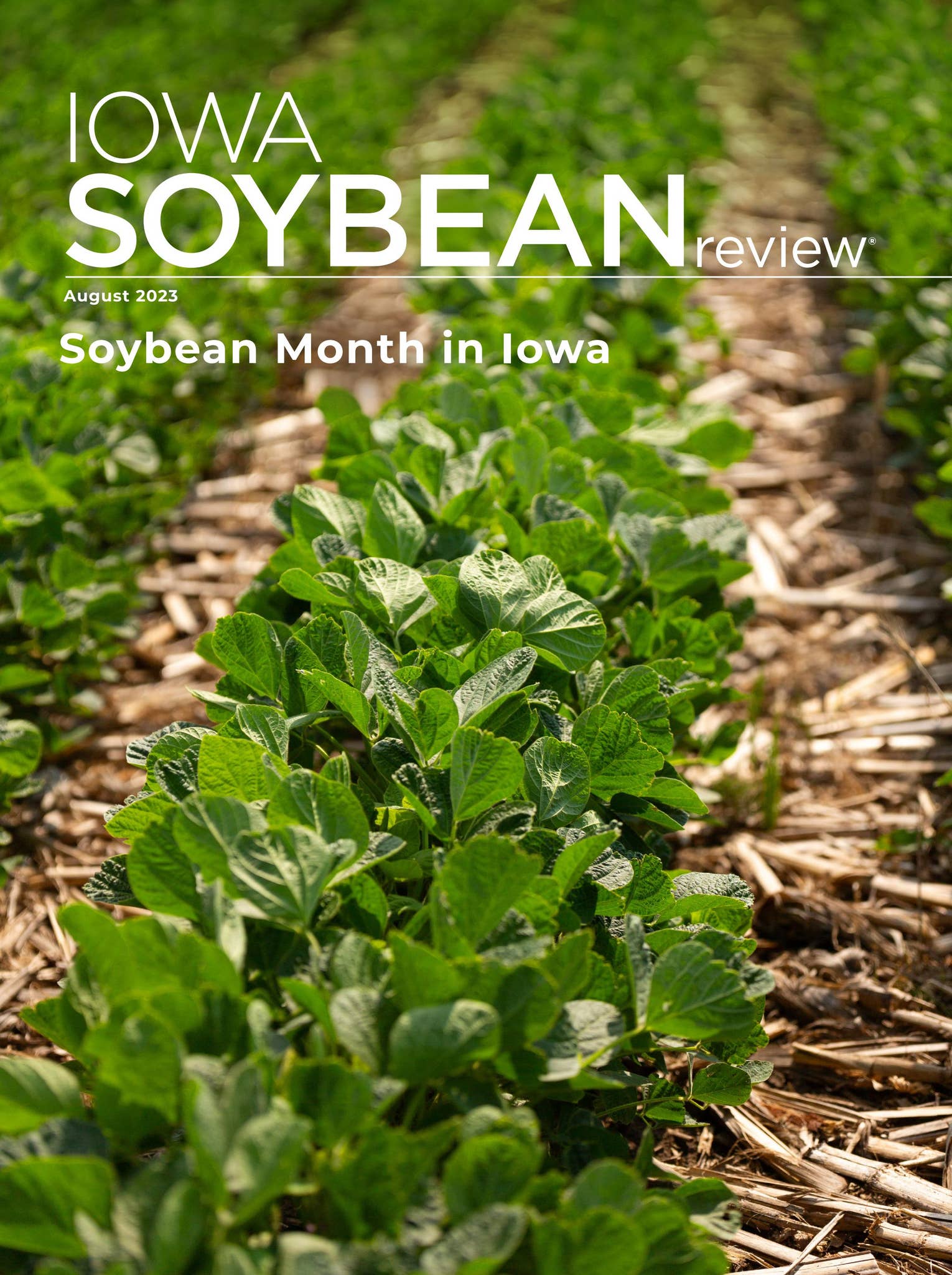 Iowa Soybean Review | August 2023 by Iowa Soybean Association - Issuu