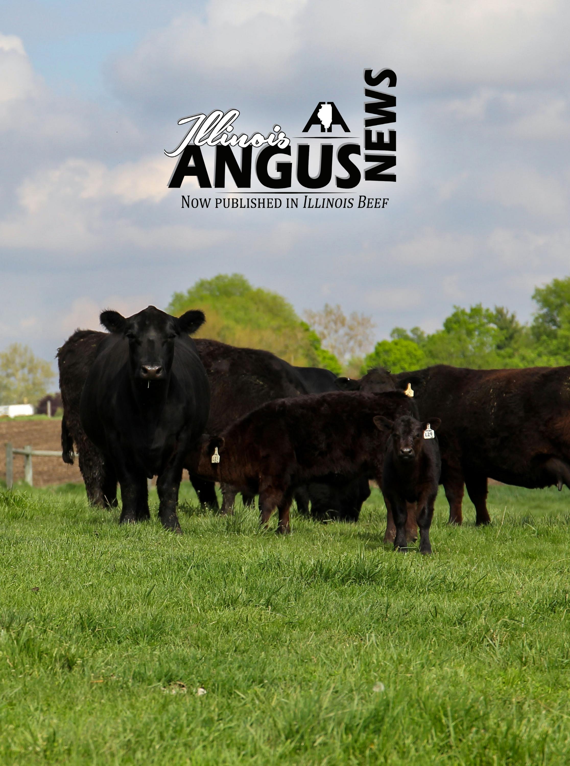 Illinois Angus News - July/August 2023 by Illinois Beef/Illinois Angus ...