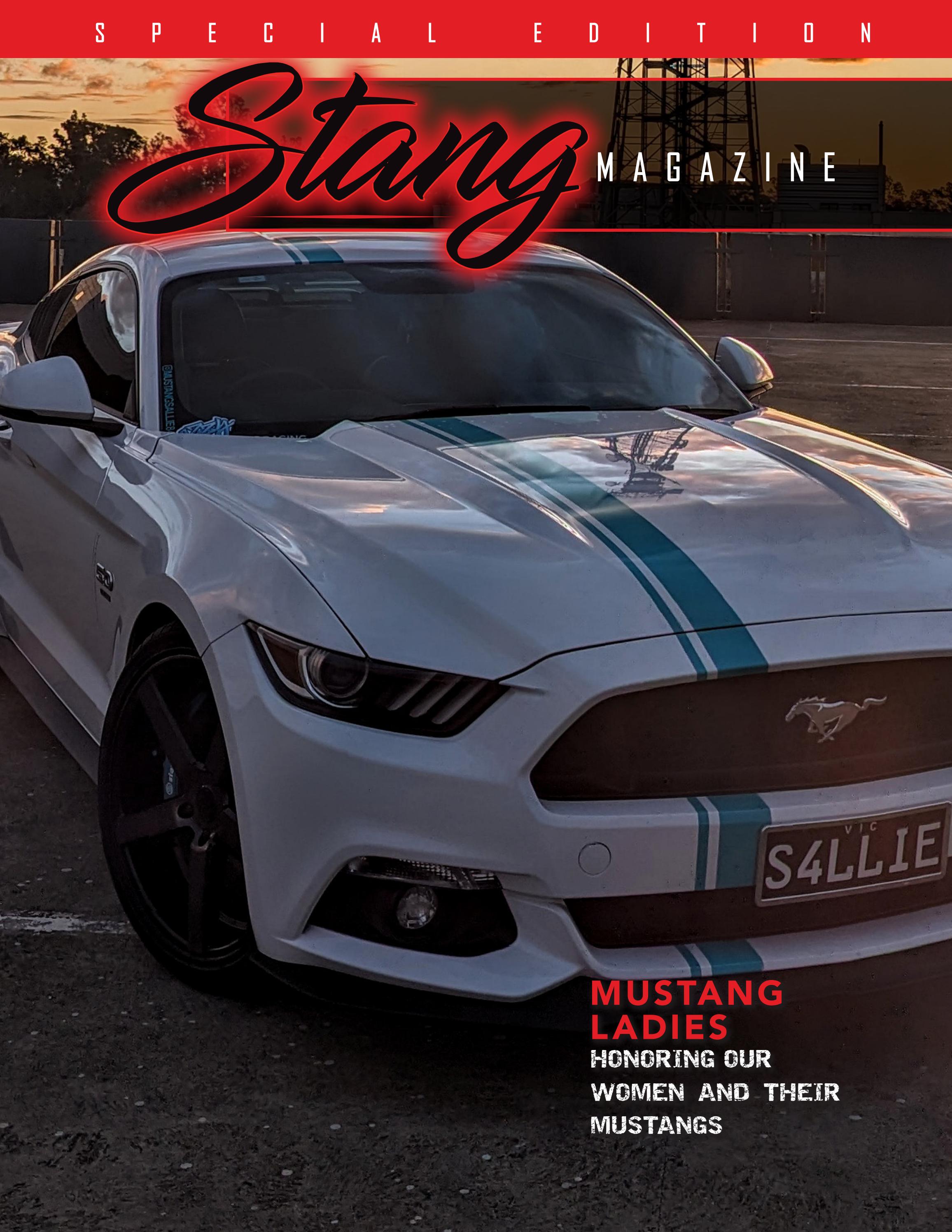 Hand Pinstriping Mustang