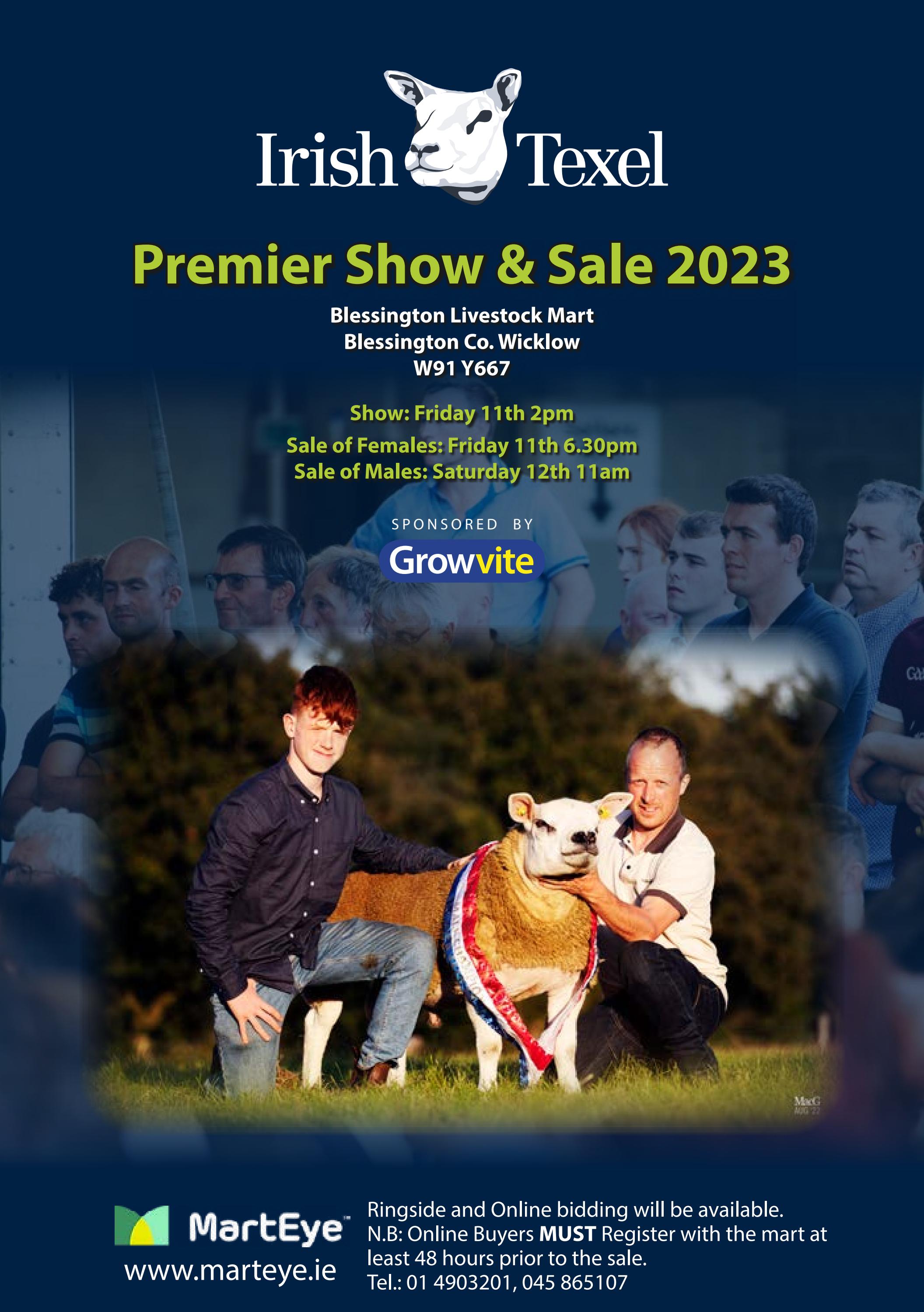 Irish Texel Premier Sale 11th/12th August 2023 by Irish Texel Sheep ...