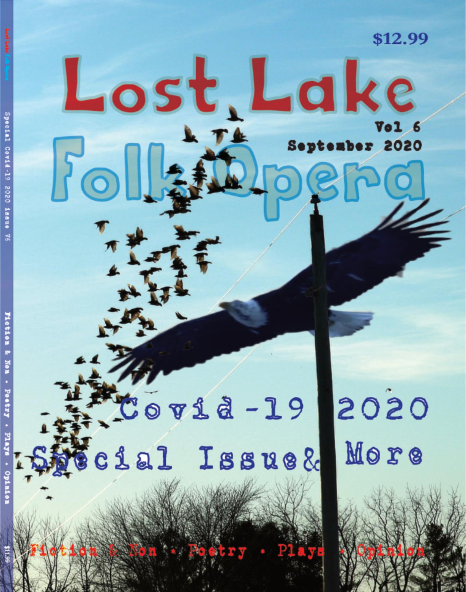 Lost Lake Folk Opera v6 Special Covid-19 issue, Fall 2020 by Lost Lake Folk Opera magazine, a ...