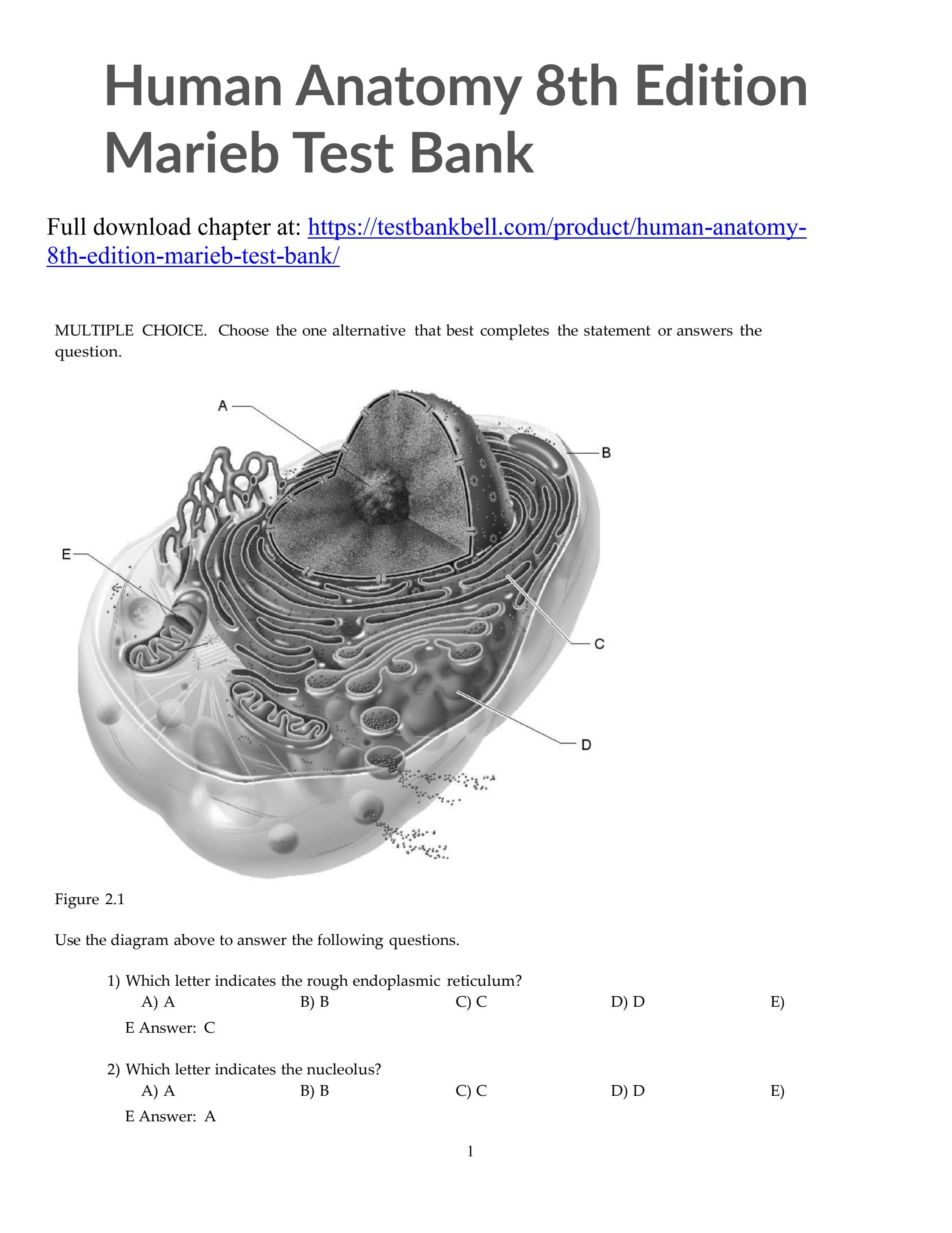 Anatomy And Physiology Marieb 8th Edition