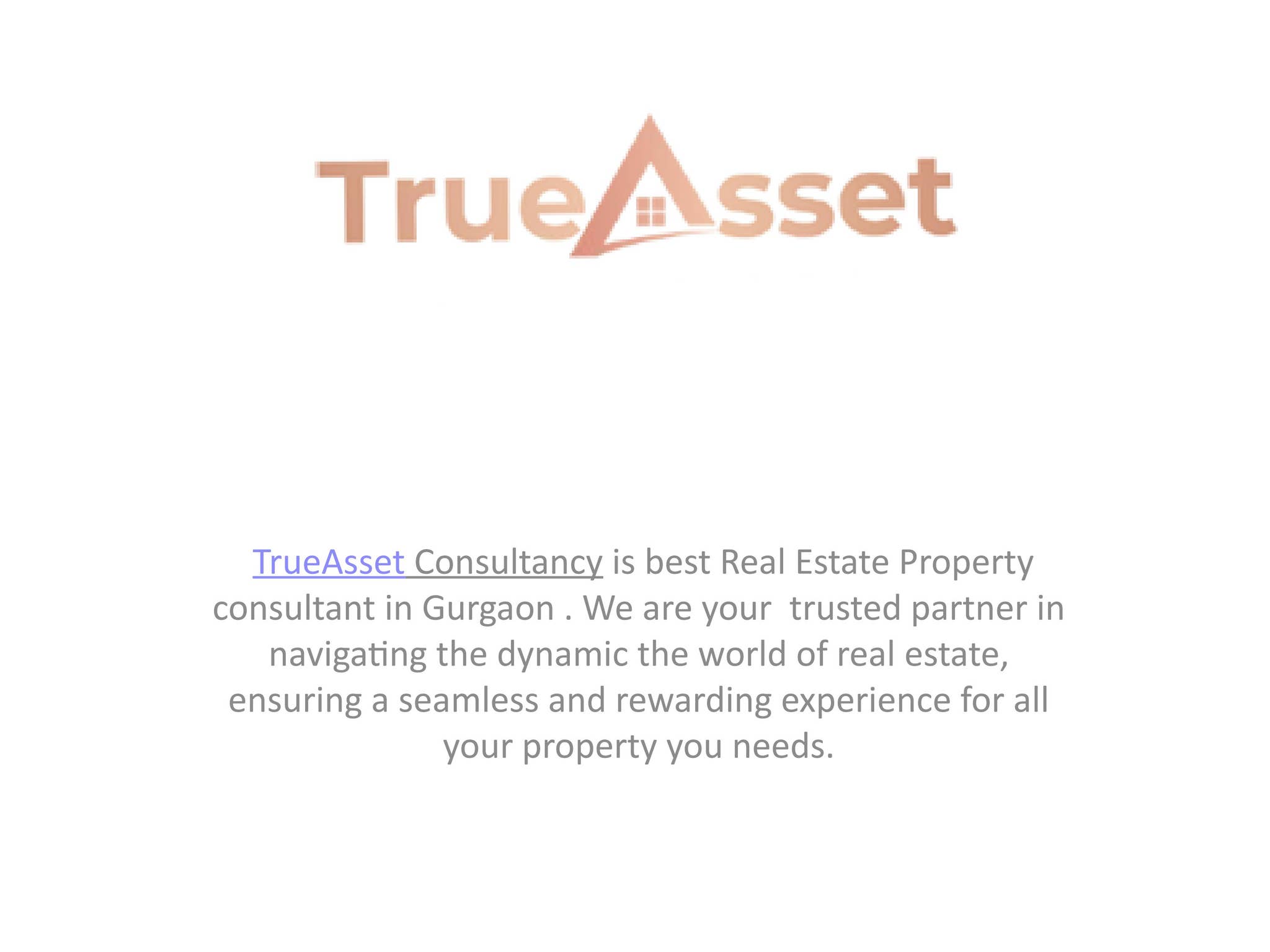 why choose TrueAsset consultancy for commercial property by Triposia ...