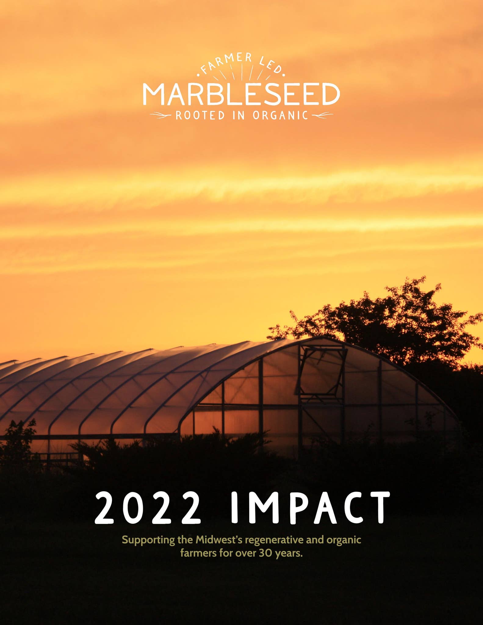 Marbleseed Annual Report | 2022 by marbleseed - Issuu
