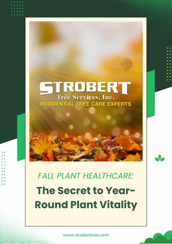 stroberttree Publisher Publications - Issuu