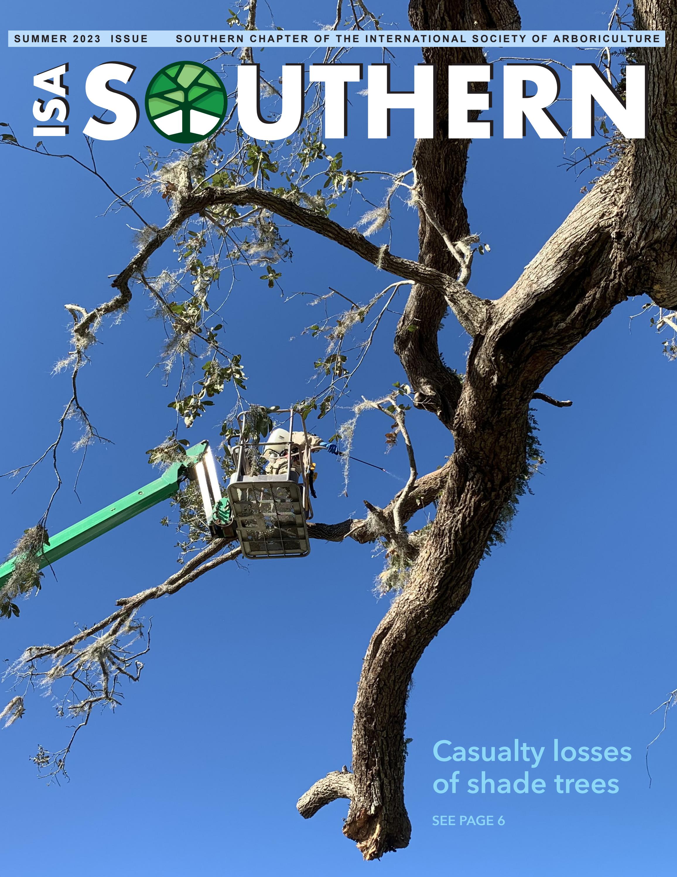 ISA Southern News - Summer 2023 - SPANISH by isasouthern - Issuu