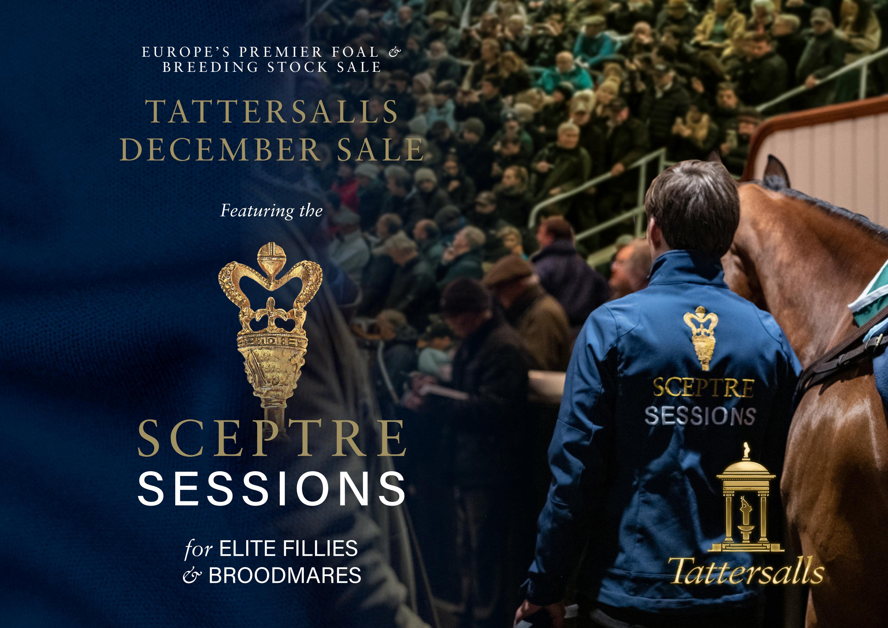 Tattersalls December Sale Entries Flyer 2023 by Tattersalls - Issuu