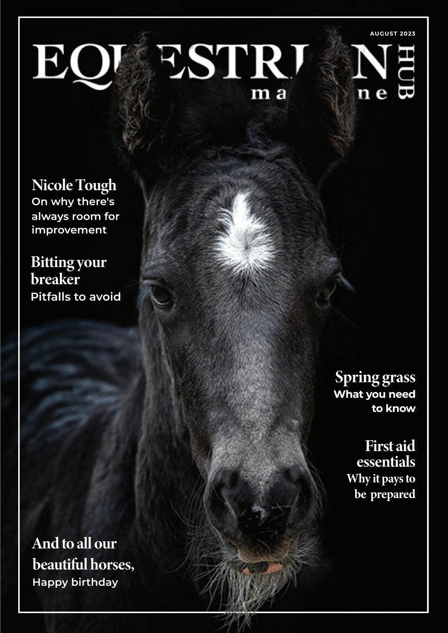 Equestrian Hub Magazine August 2023 by equestrianhub.com.au - Issuu