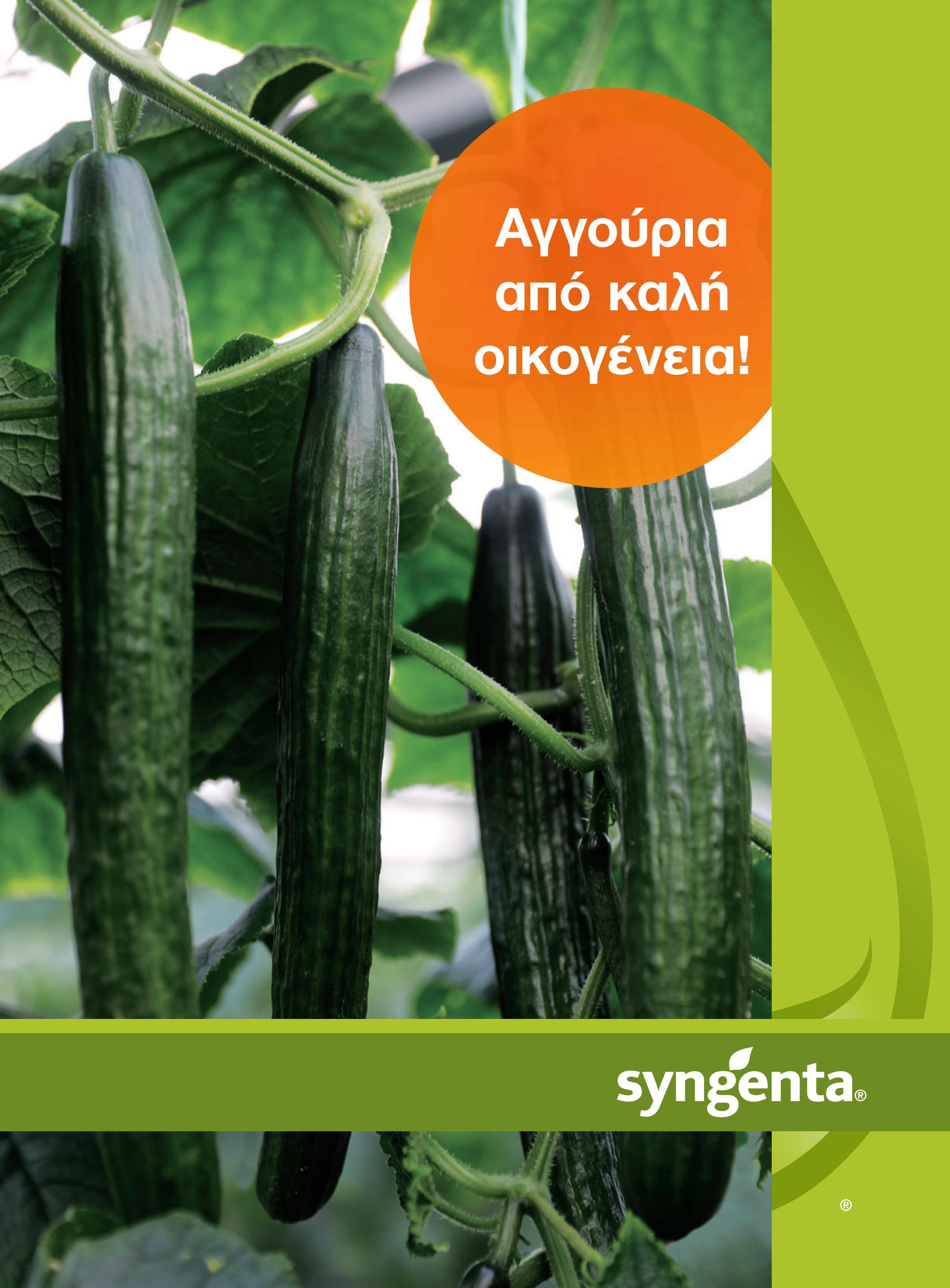 Αγγούρια από Καλή Οικογένεια! by Syngenta Hellas - Issuu