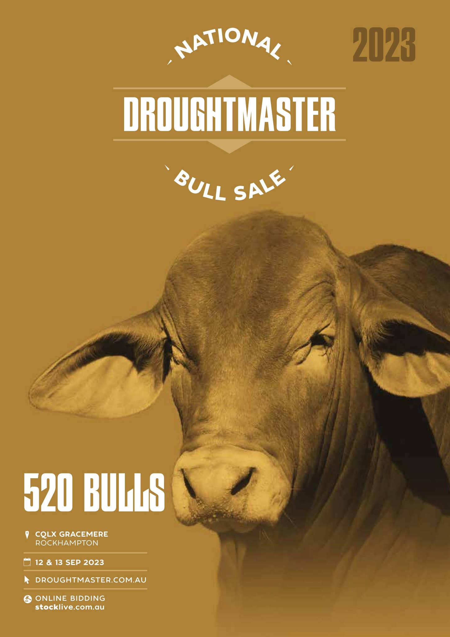 Droughtmaster National Bull Sale 2023 by Droughtmaster Australia - Issuu