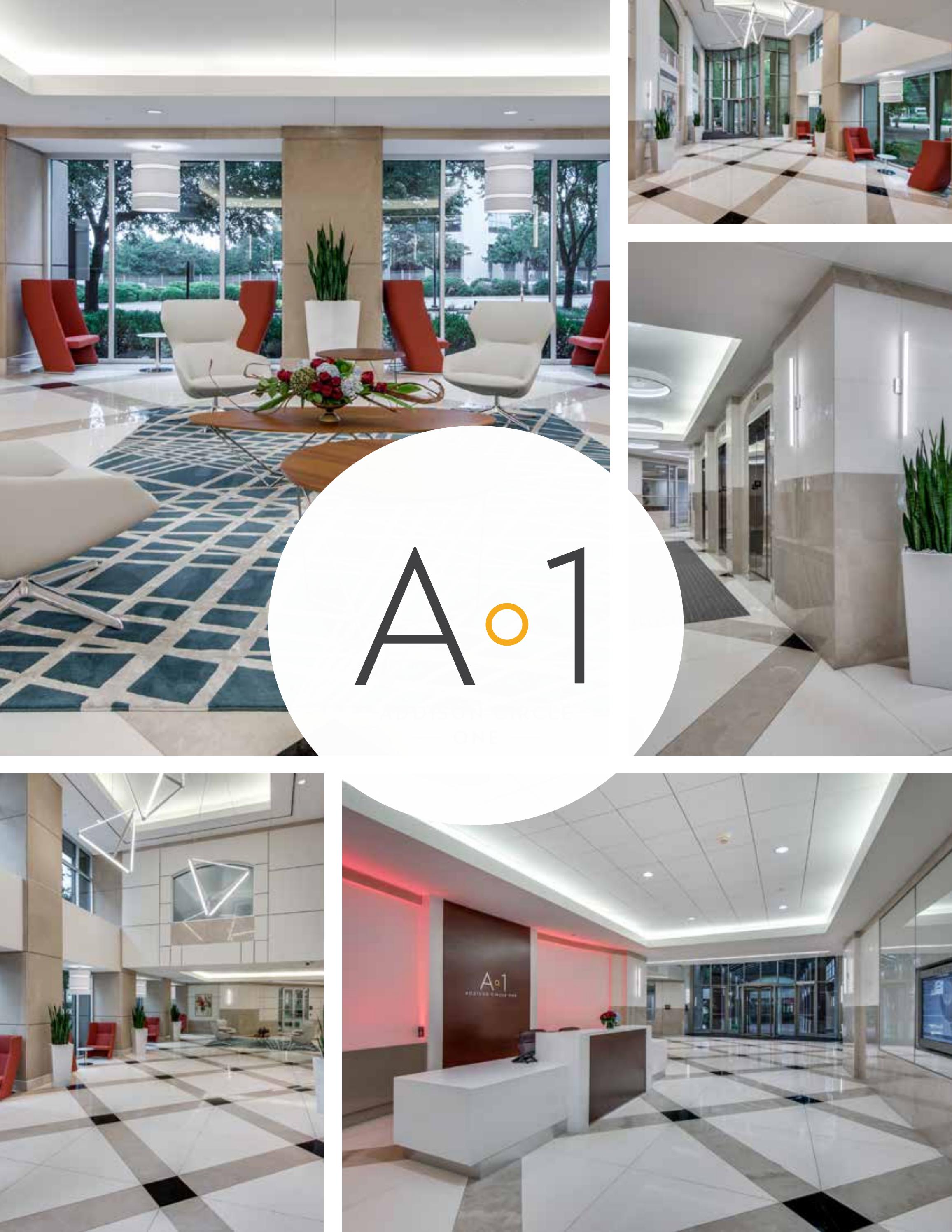 Wolfpack Brochure - Addison Circle One Brochure by Colliers - Issuu