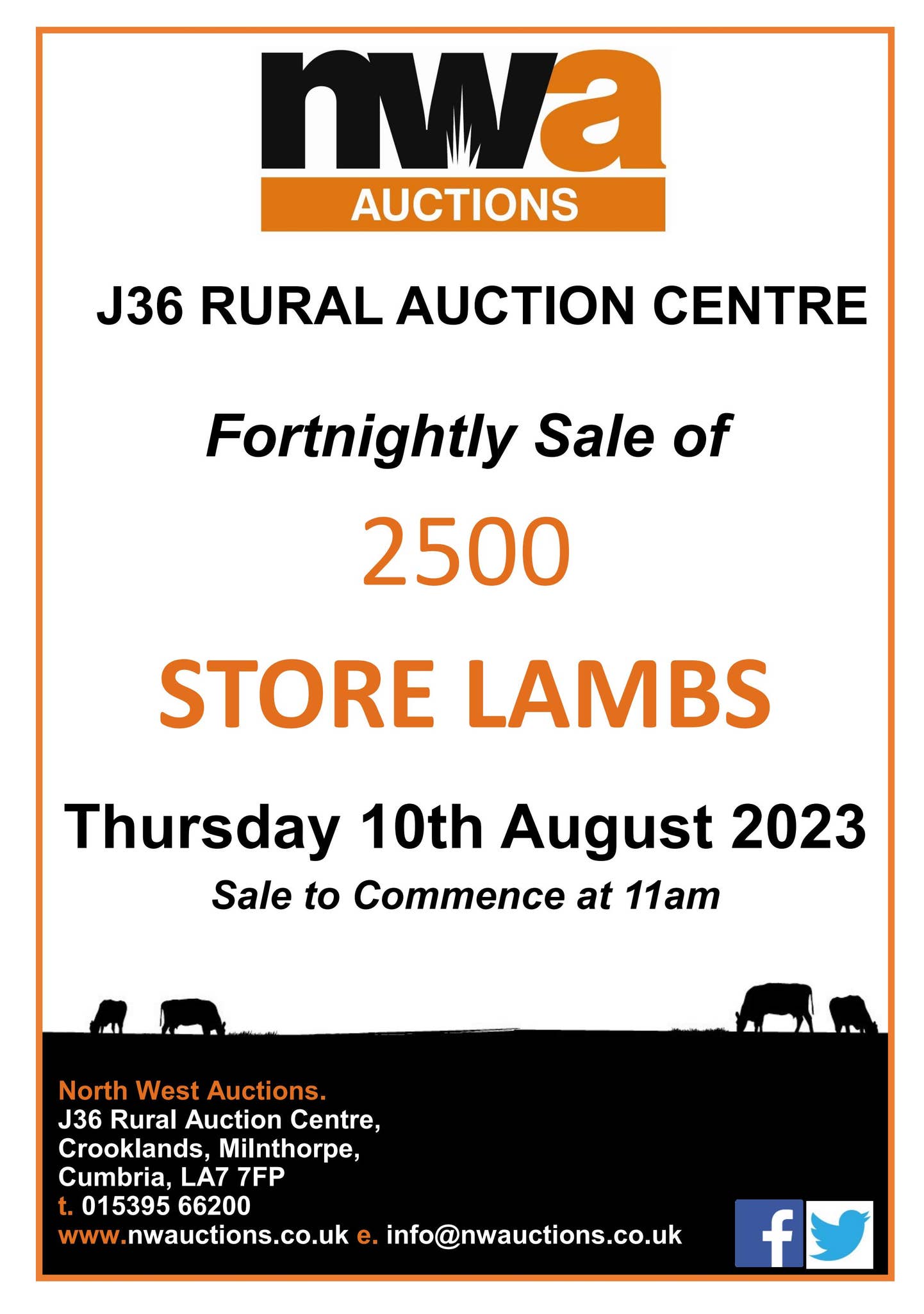 J36 Store Lambs, 10th August 2023 by North West Auctions - Issuu
