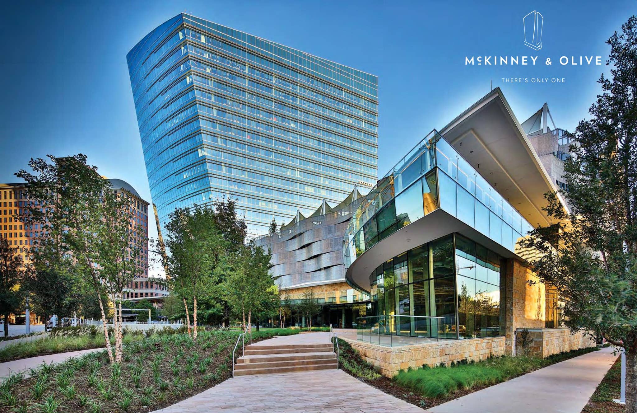 Wolfpack Brochure - McKinney & Olive Brochure REDUCED by Colliers - Issuu