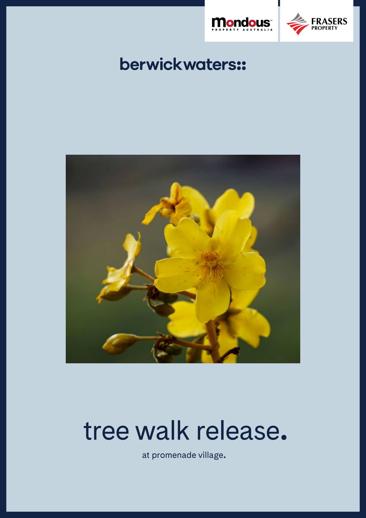 Berwick Waters | Tree Walk Release Brochure by Frasers Property ...