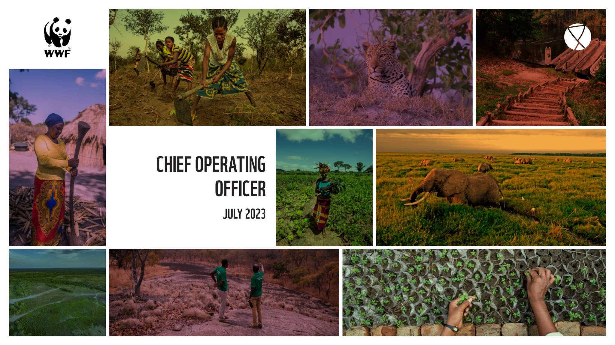 WWF DRC – Chief Operating Officer by Oxford HR - Issuu