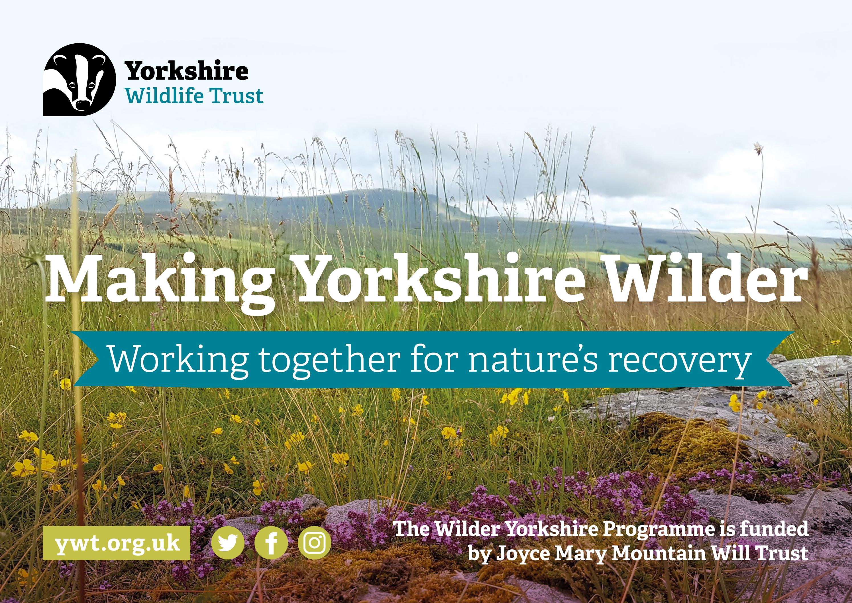 Making Yorkshire Wilder - Working together for nature's recovery by ...