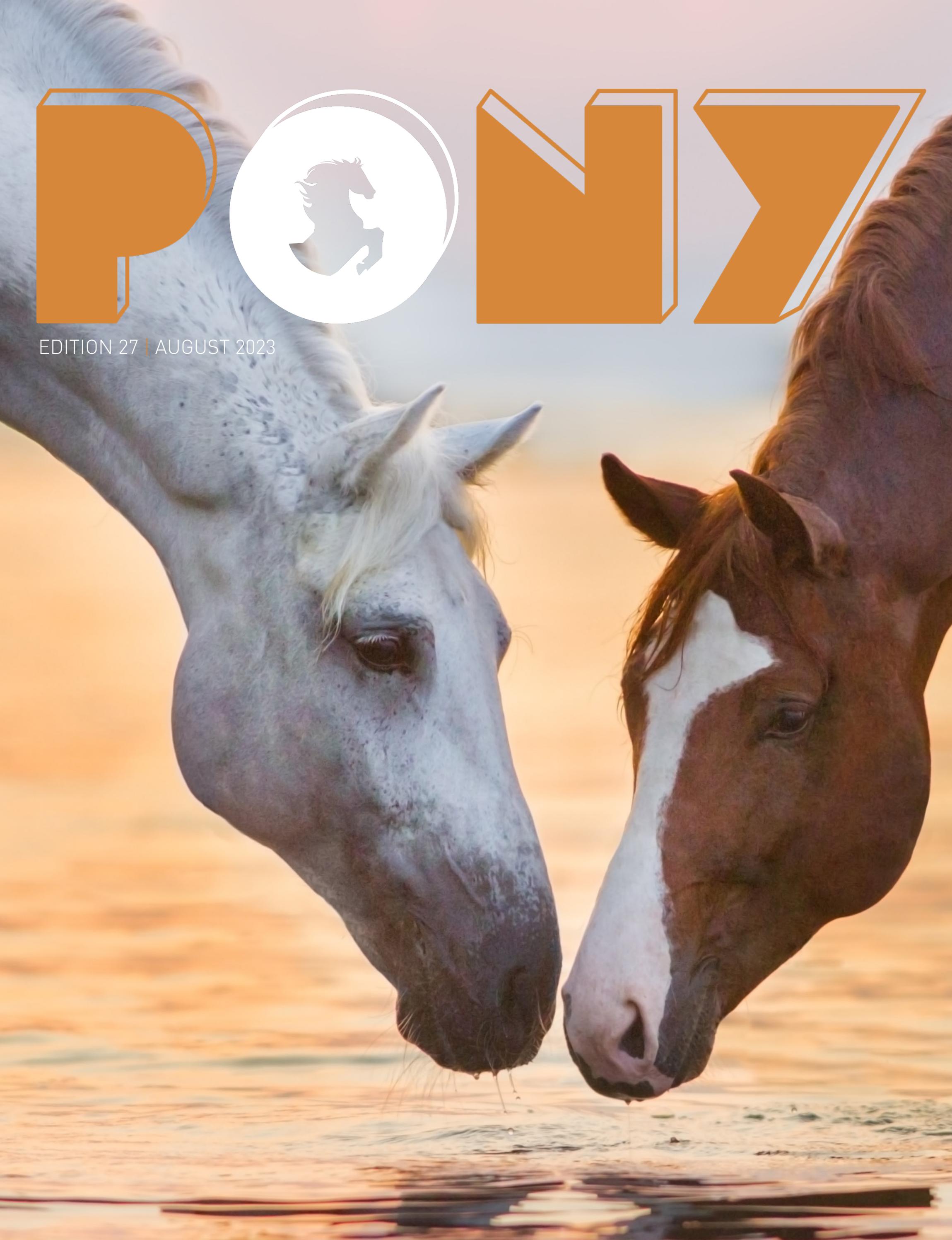 HQ Pony Magazine Issue 27 by hqmagazine - Issuu