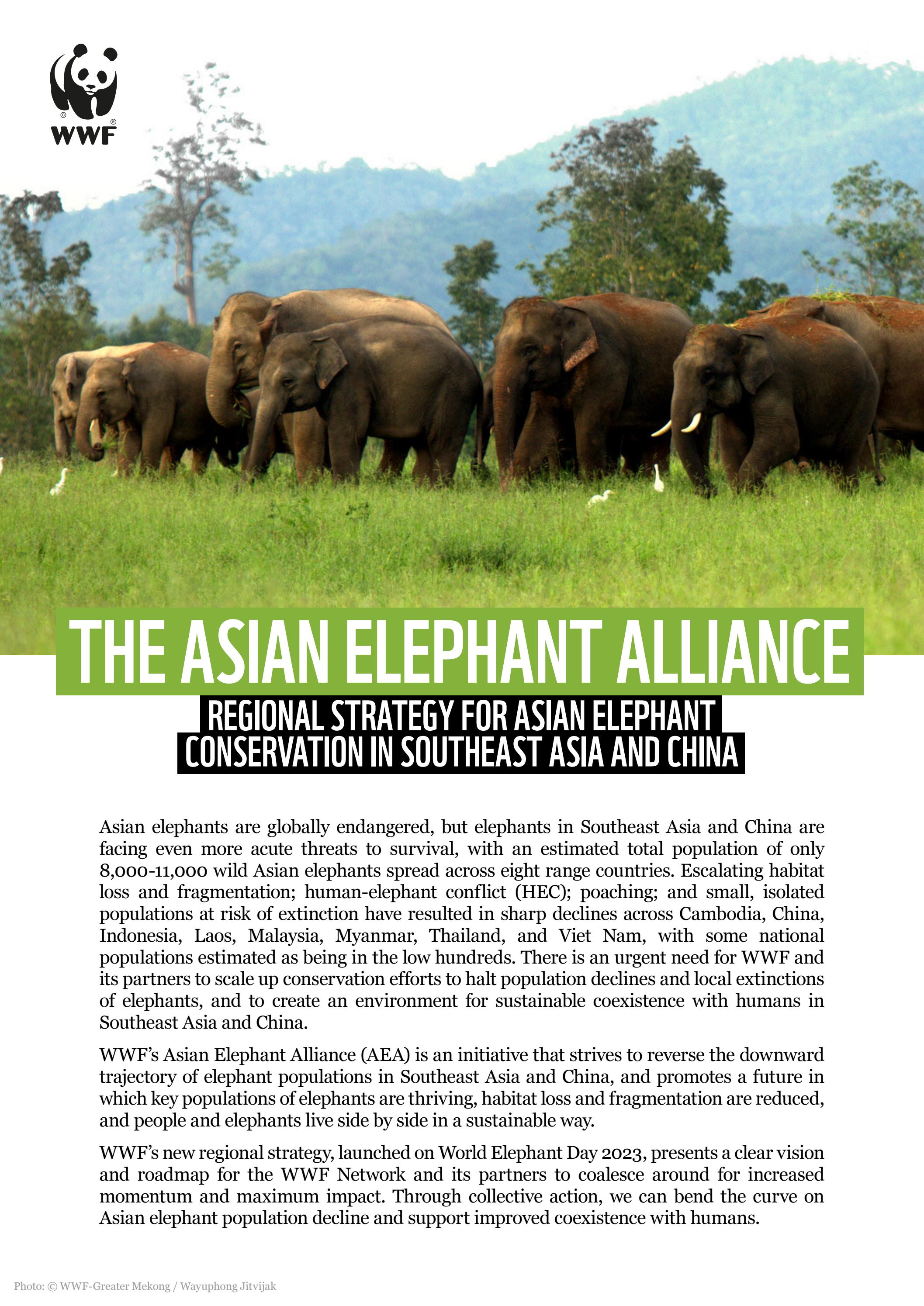 Southeast Asian Elephant Initiative - Strategy Overview by WWF-Myanmar ...