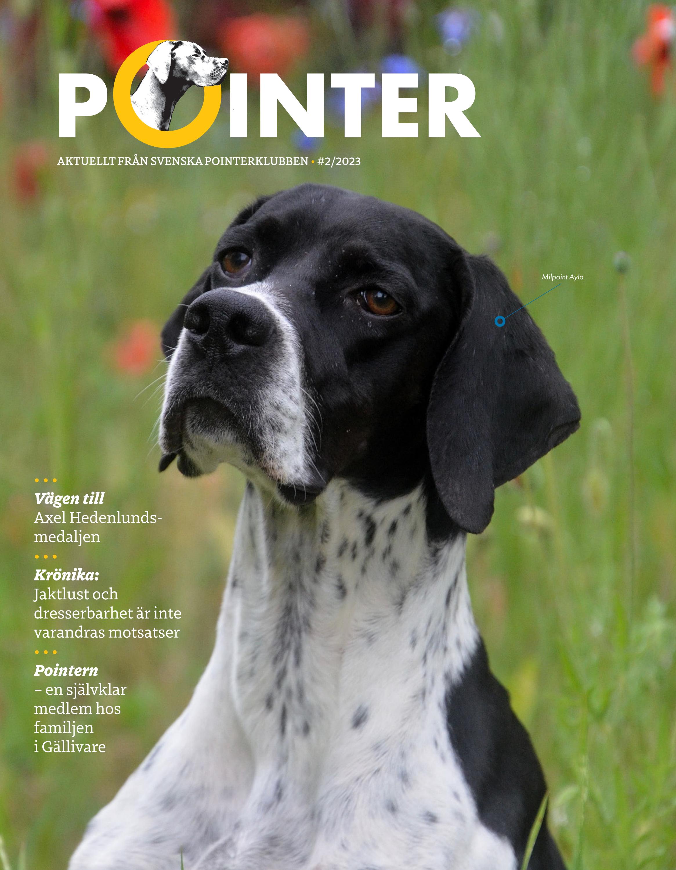 Tidningen Pointer #2/2023 by svenskapointerklubben - Issuu