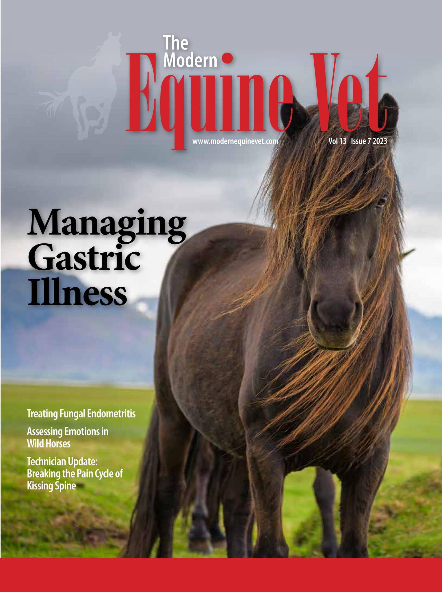 The Modern Equine Vet - July 2023 by The Modern Equine Vet - Issuu