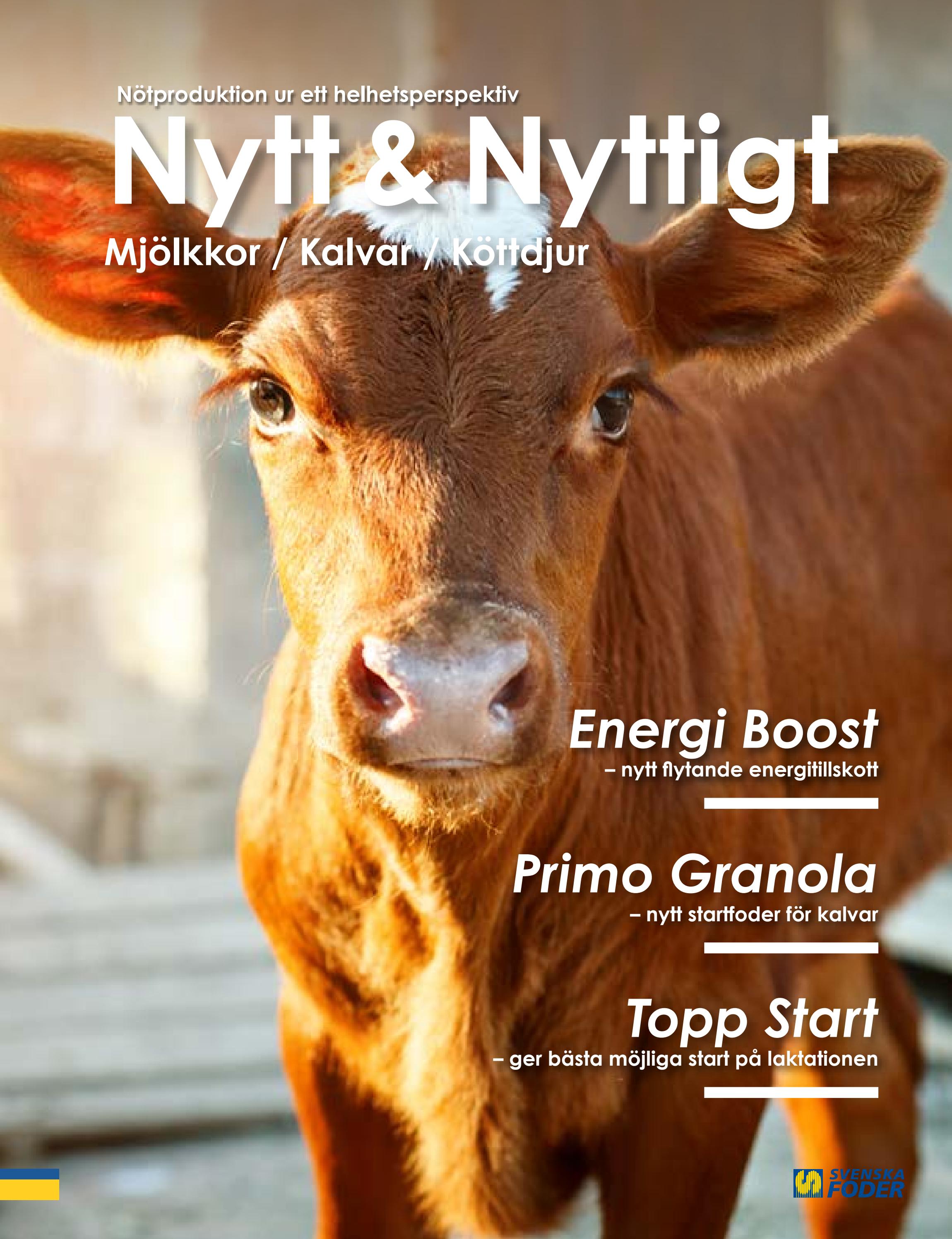 Nytt o Nyttigt om Nöt 2023 by Svenska Foder AB - Issuu