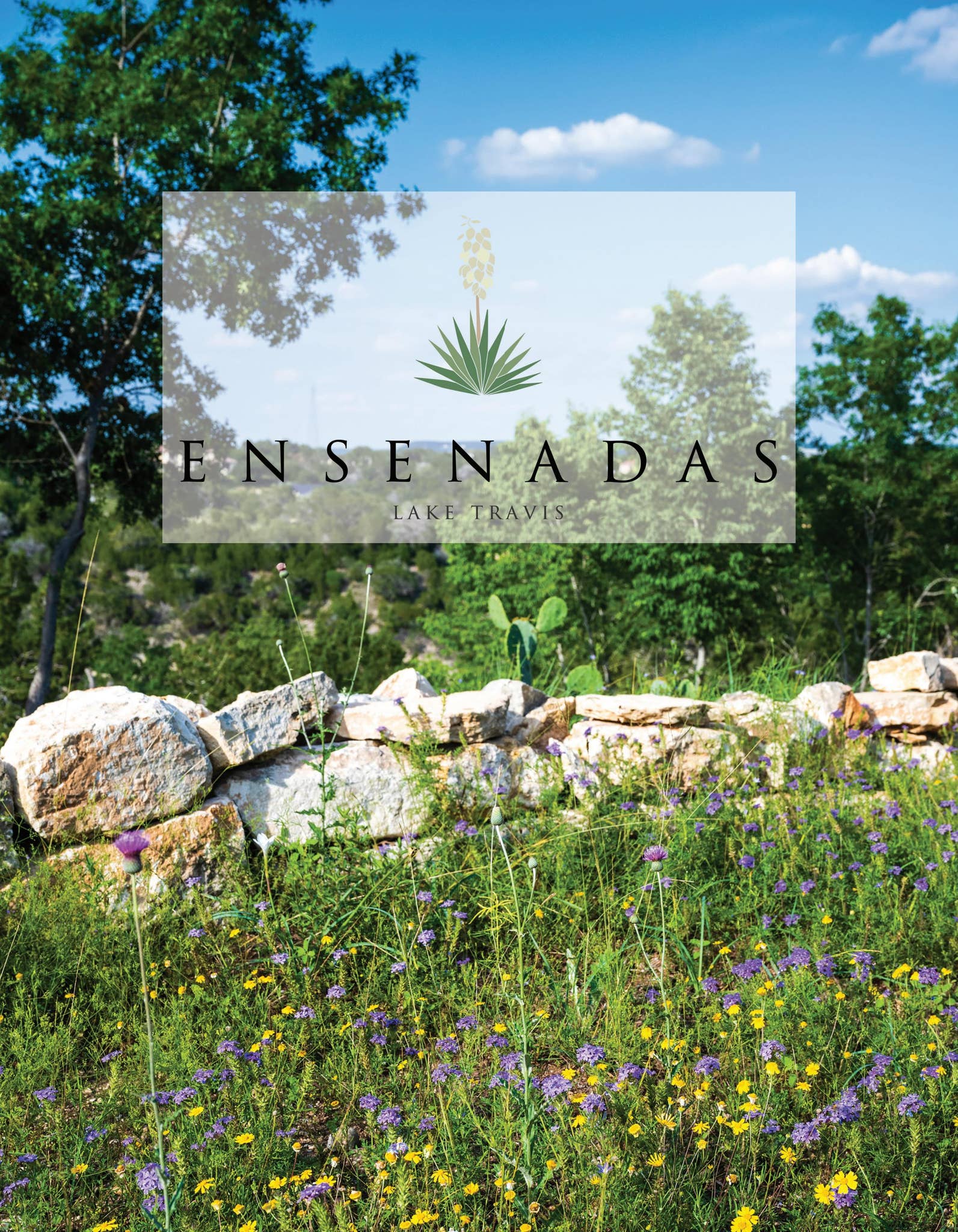 Introduction | ENSENADAS Lake Travis by Alaina Martin, Realtor - Issuu
