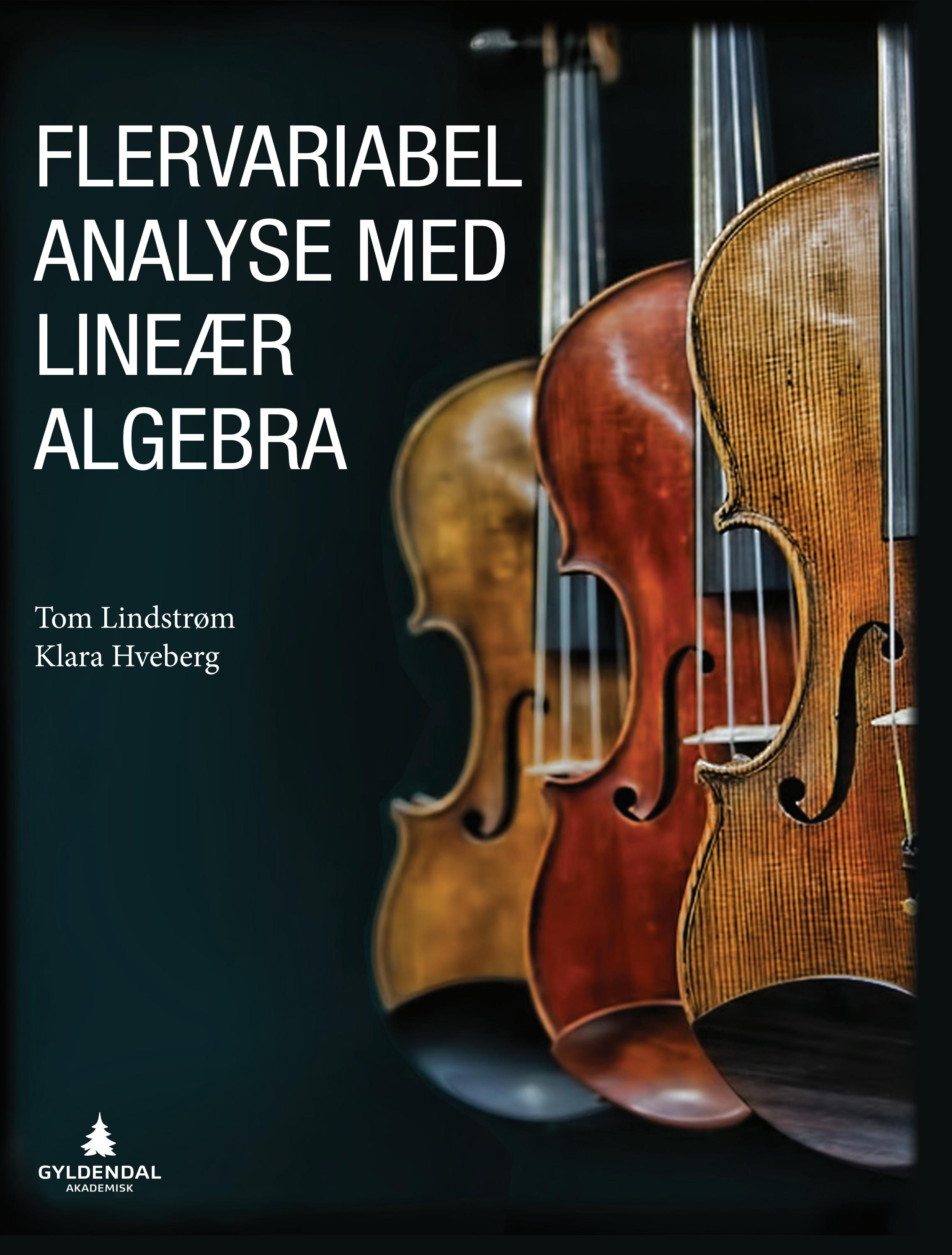Issuu_Flervariabel analyse med lineær algebra by Gyldendal Norsk Forlag ...