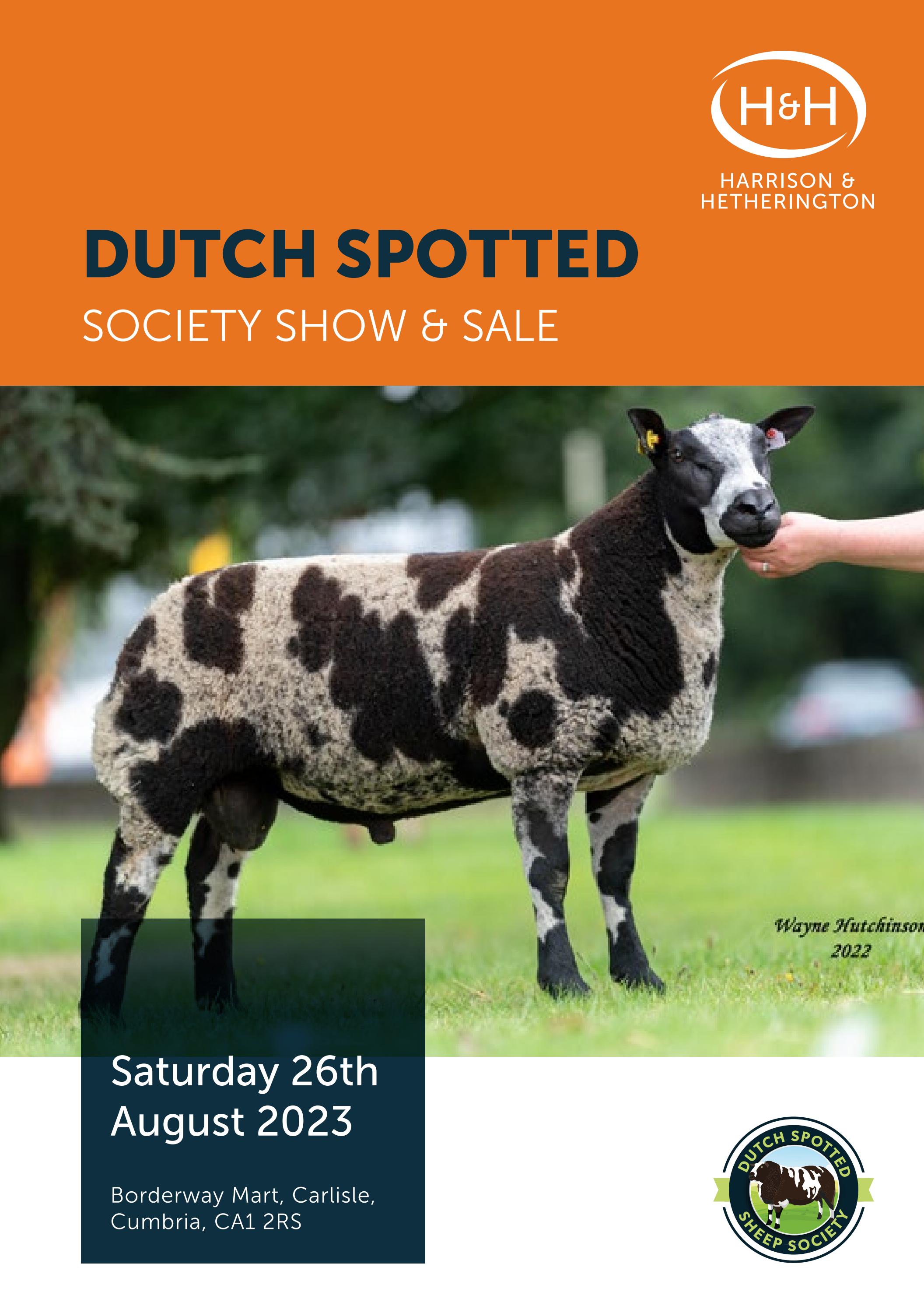 Dutch Spotted 260823 by Harrison & Hetherington - Issuu