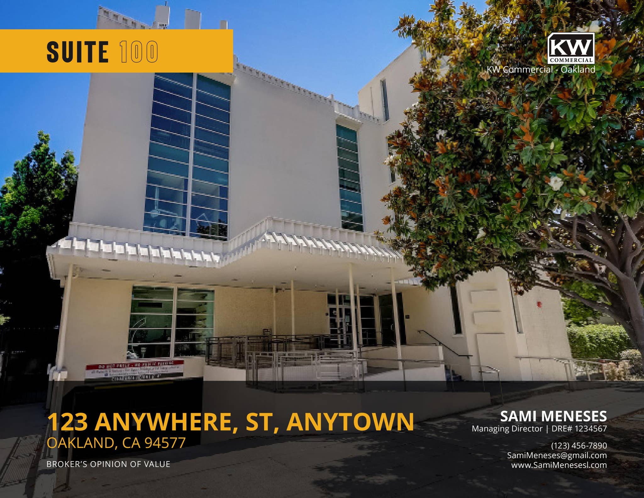 BOV Template 1 by Procasa Technologies, Inc - Issuu