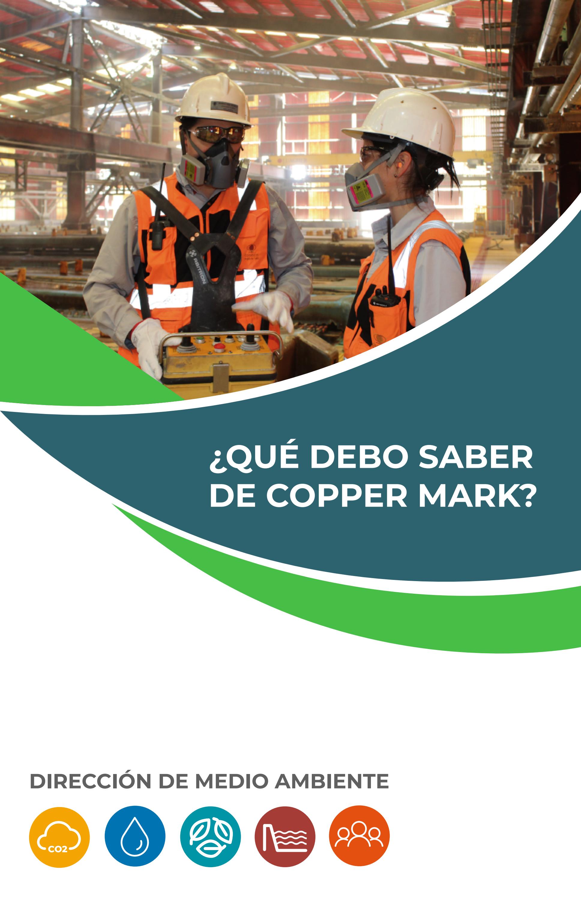 DGM | Cooper Mark by Mi Codelco - Issuu