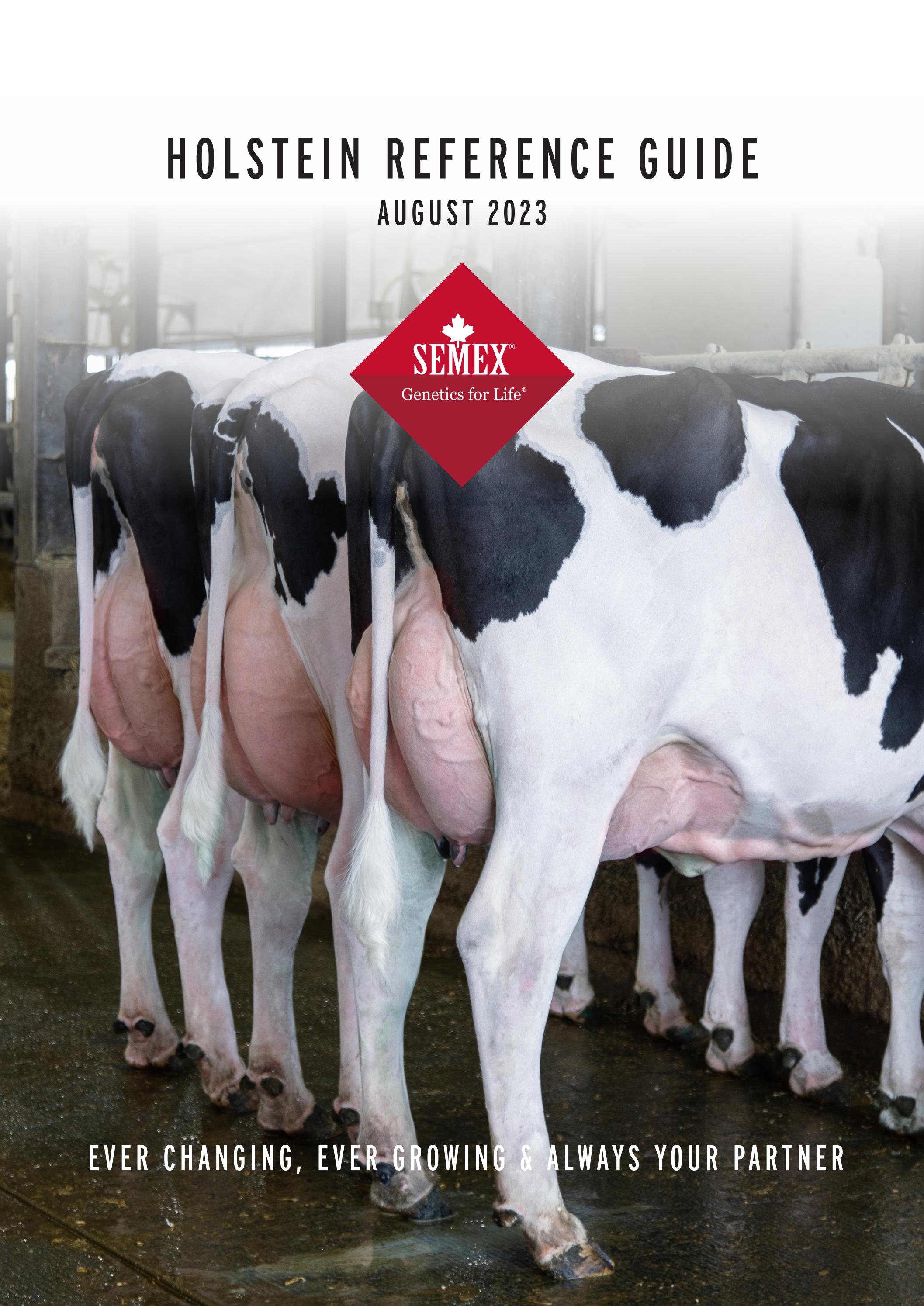 Semex - August 2023 USA Holstein Reference Guide by Semex - Issuu