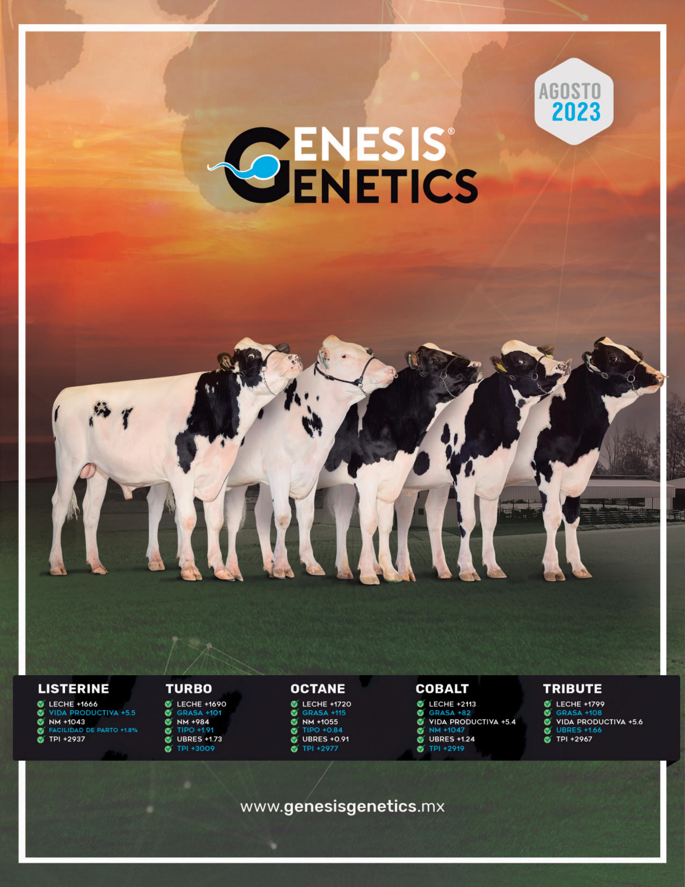 Catálogo Genesis Genetics Agosto 2023 by GenesisGenetic - Issuu