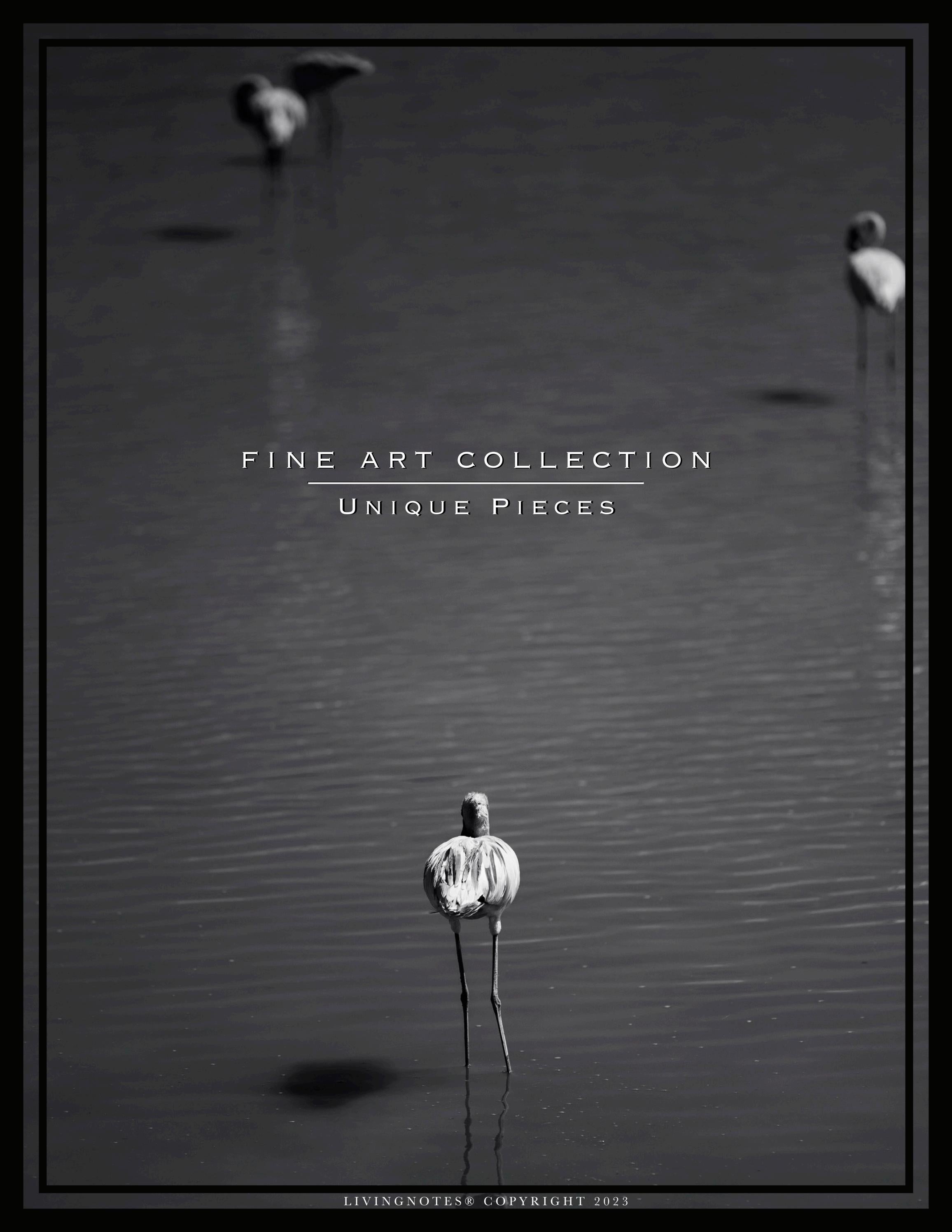 Fine Art Collection - Unique Pieces - Priceless by Origins ...