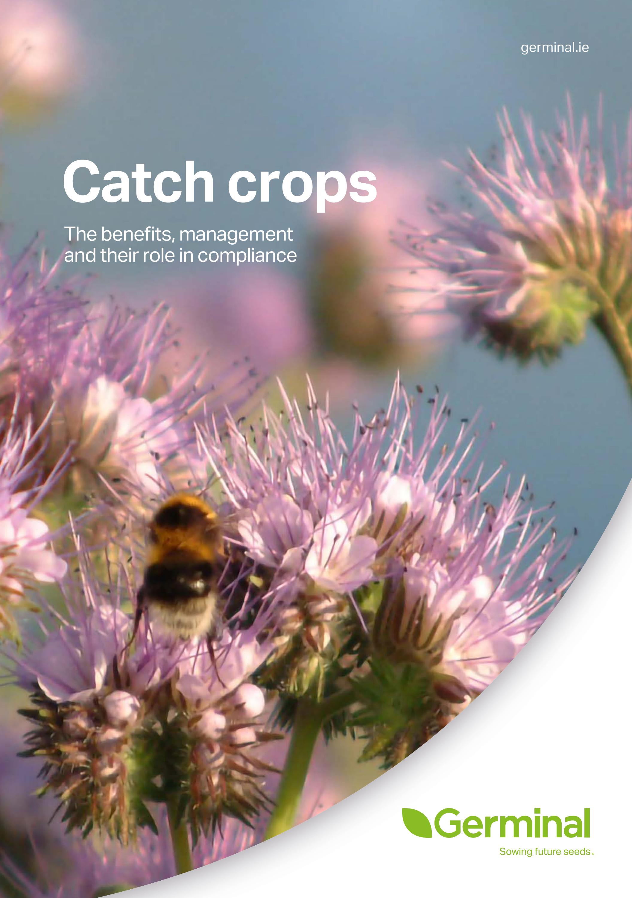 Germinal Catch Crops 2023 by Germinal - Issuu