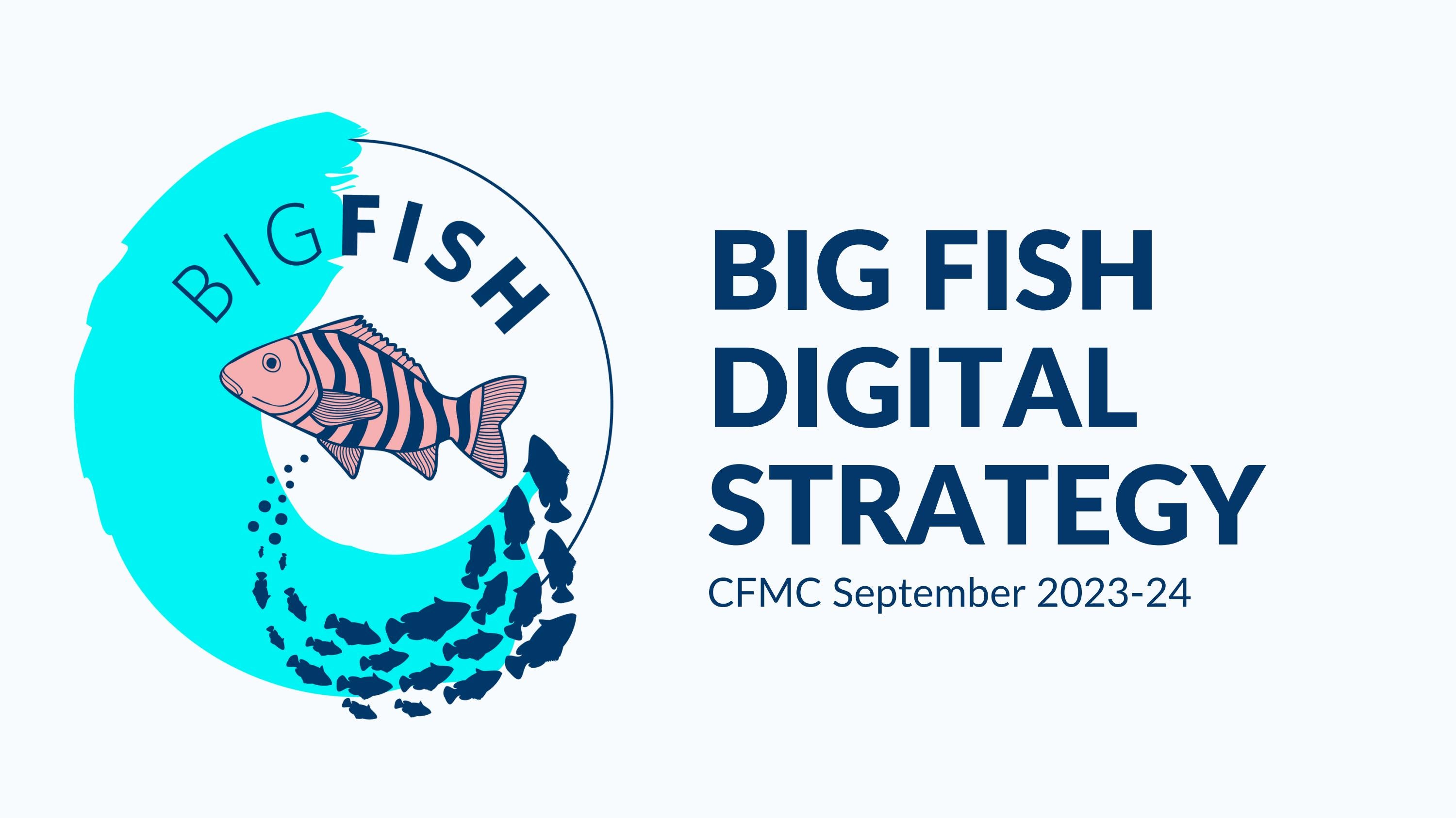 BIG FISH Media Plan by Caribbean Fishery Management Council - Issuu